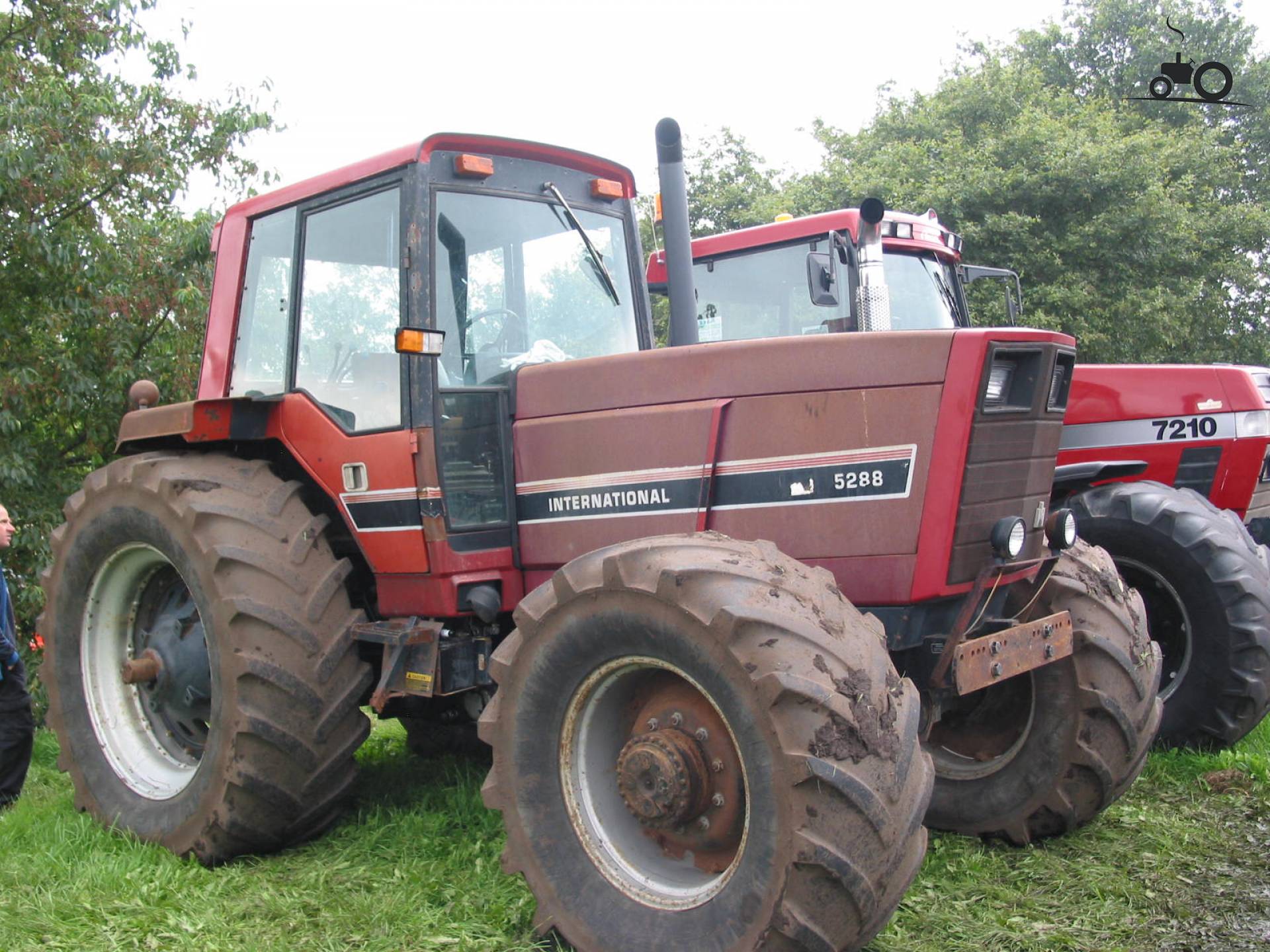 Foto International 5288 #820694