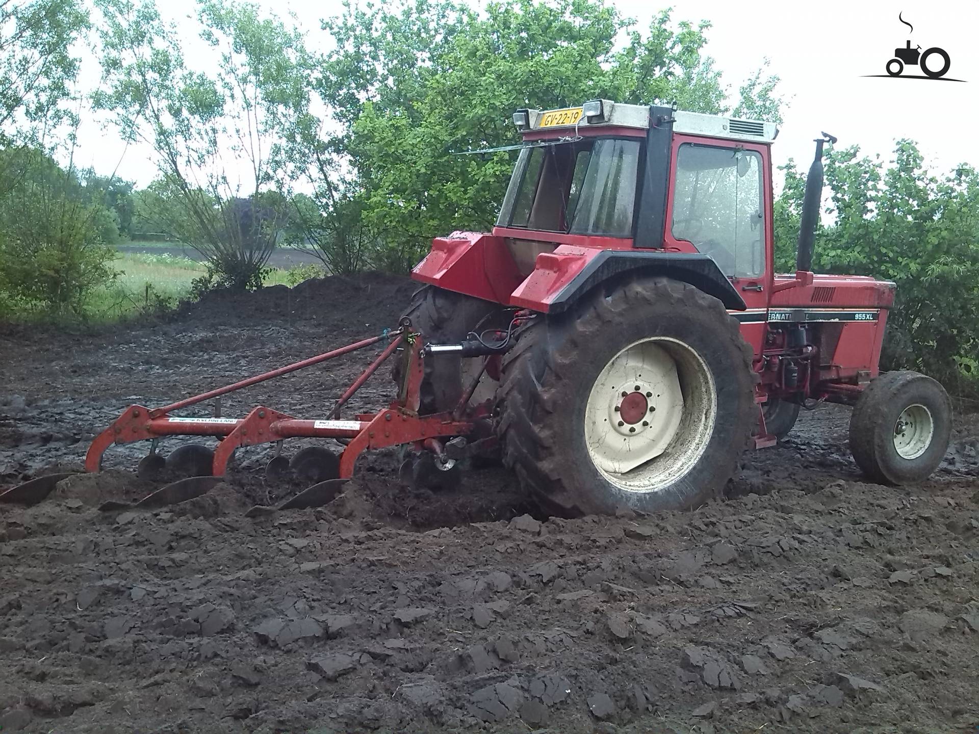International 955 XL - United Kingdom - Tractor picture #849825