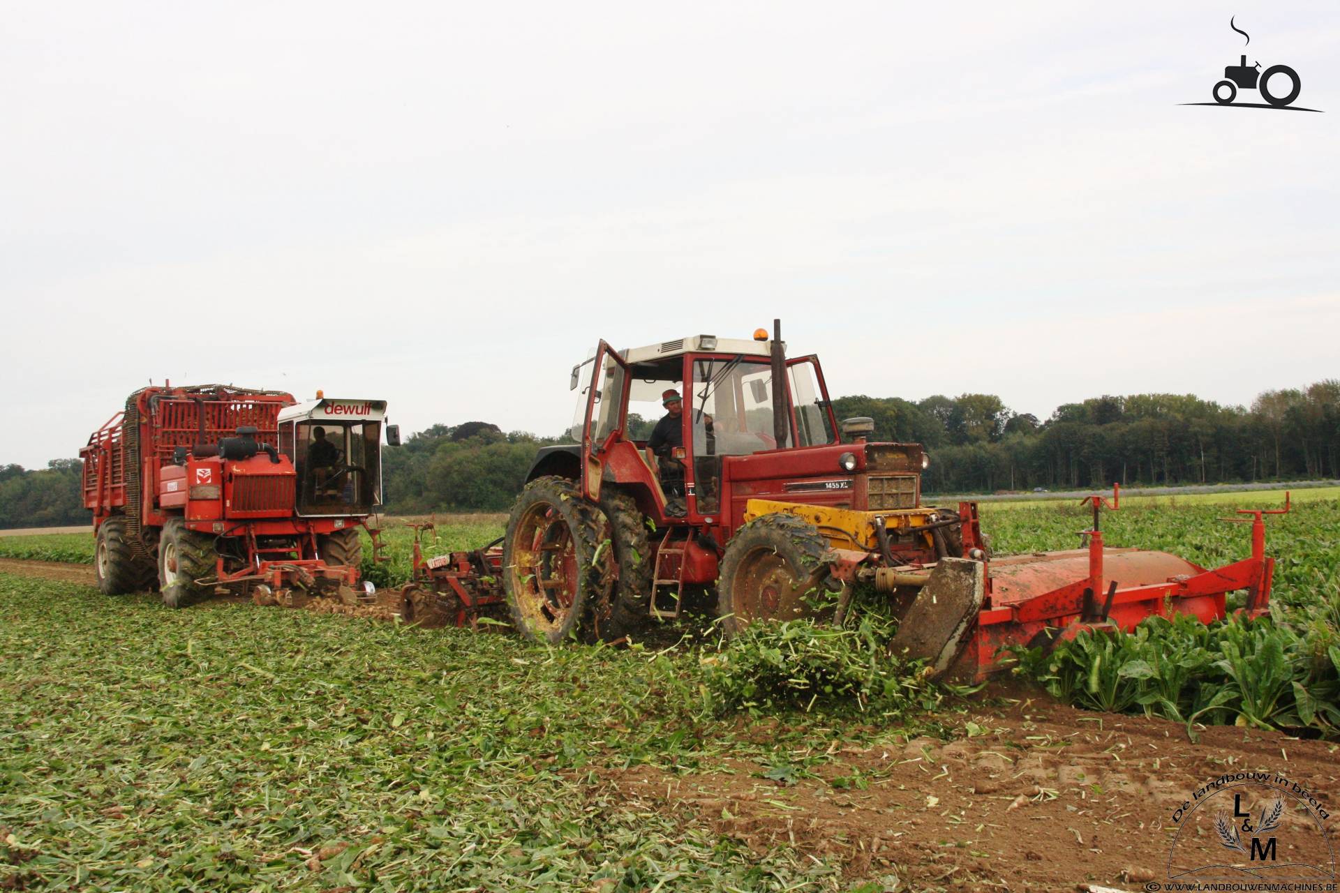 International 1455 XL