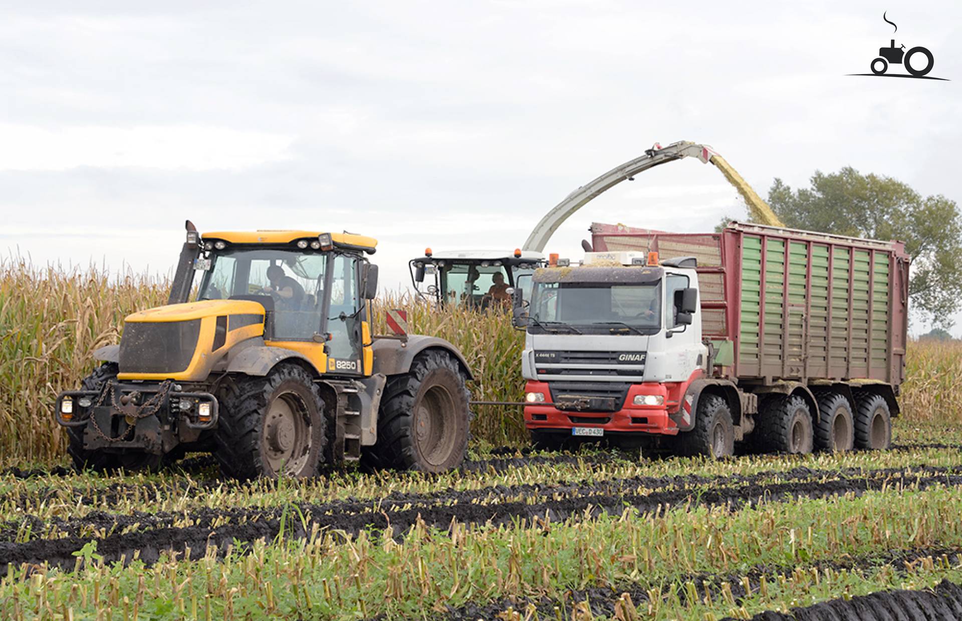 Foto JCB Fastrac 8250 #941746