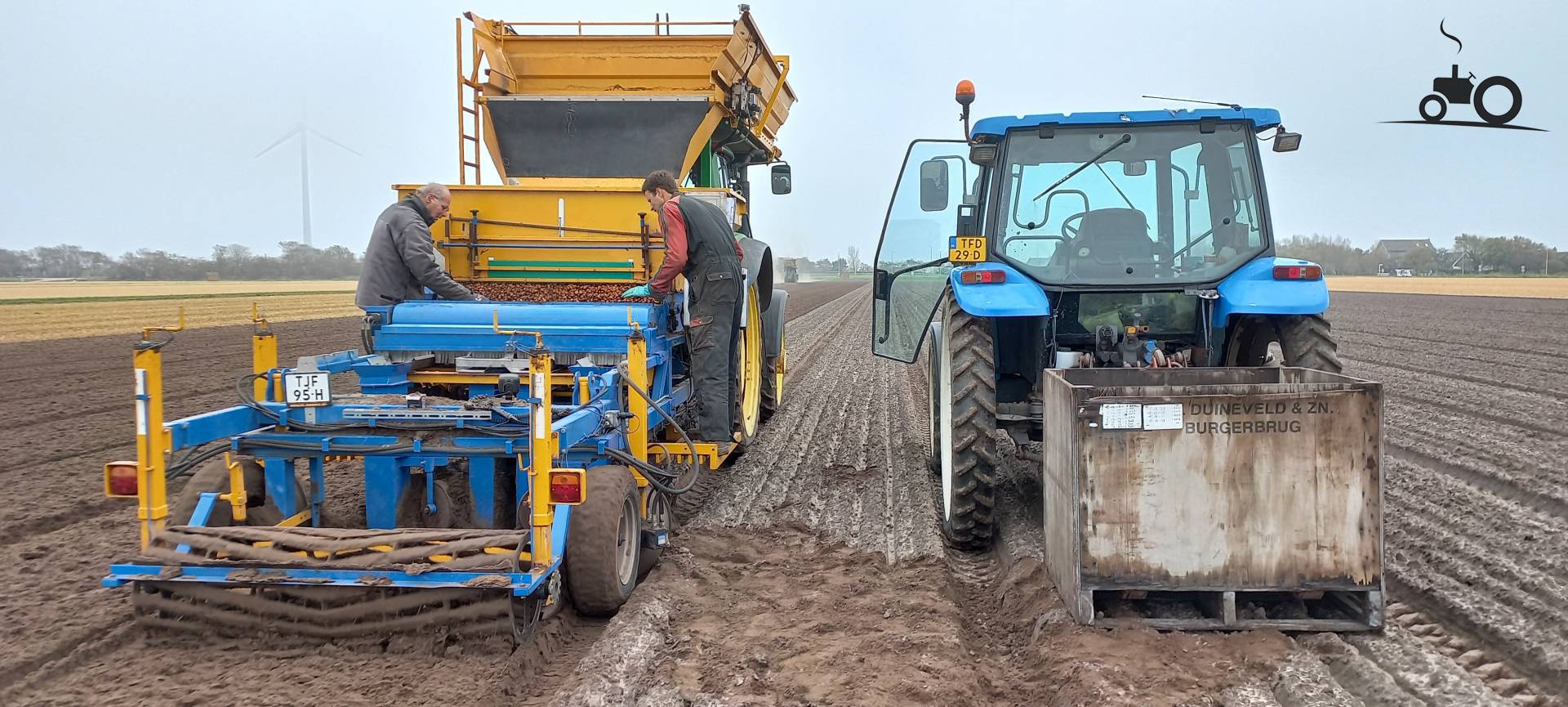 Crocussen soortjes planten