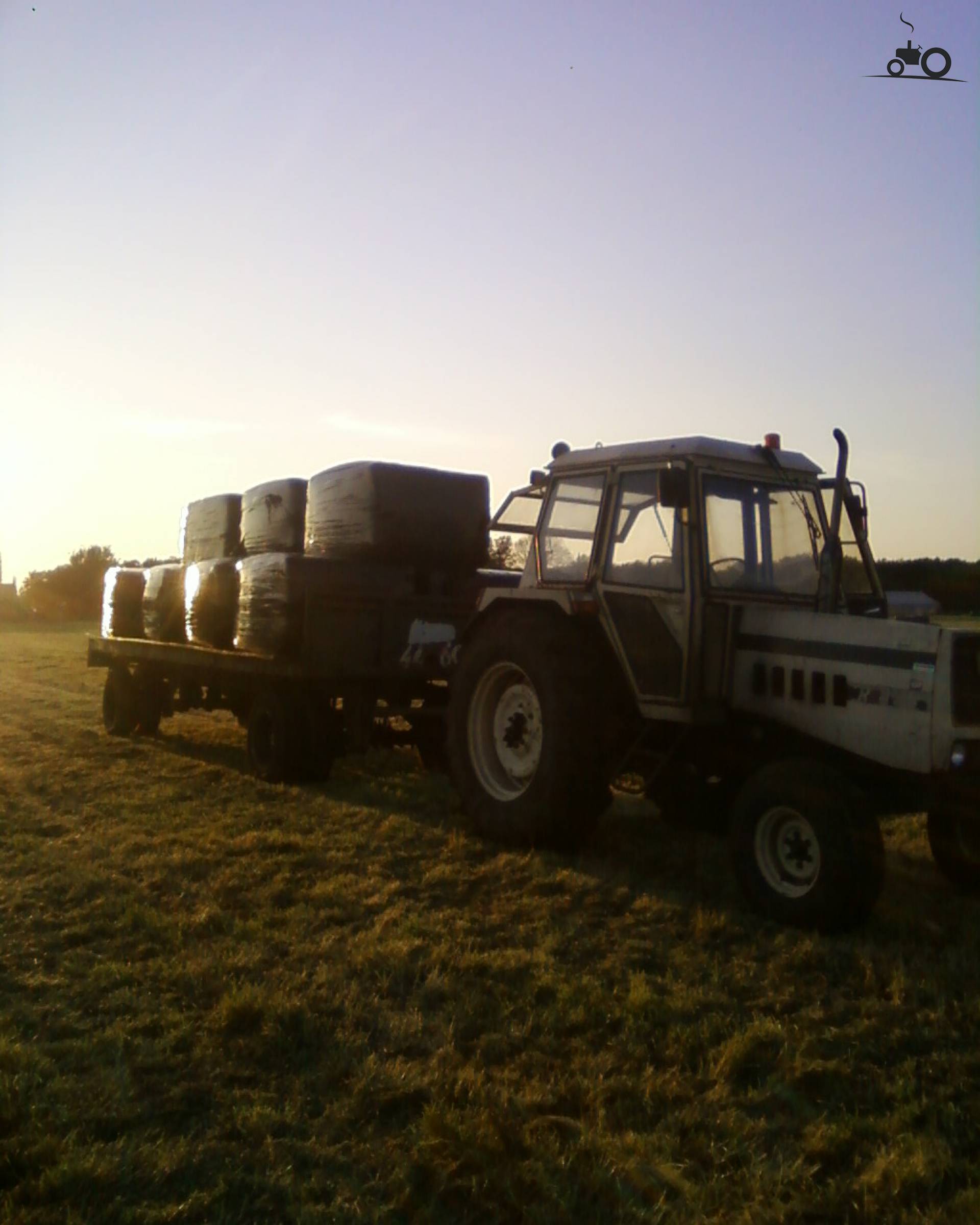 Foto Lamborghini R 854 #667707