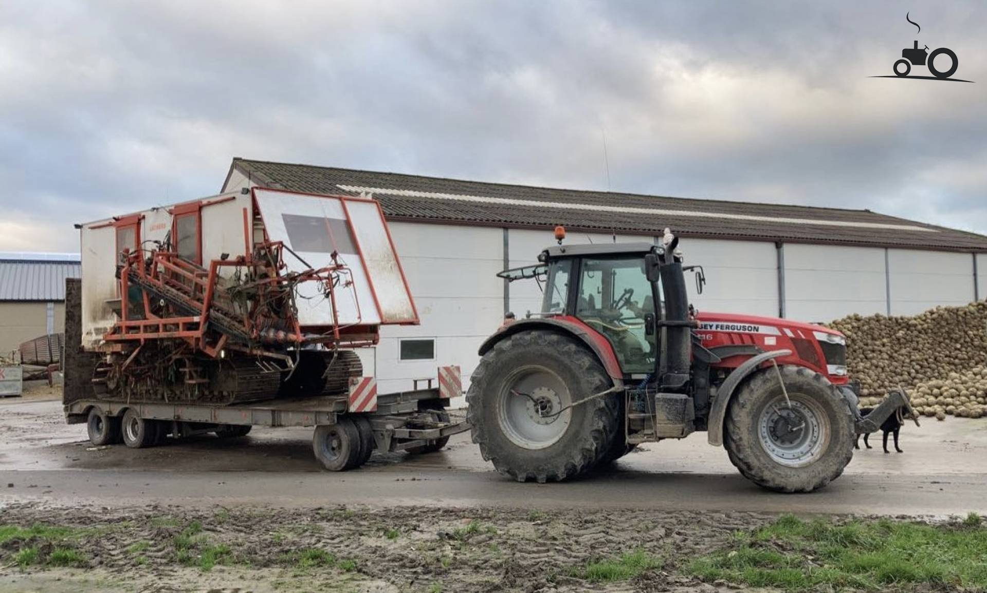 Foto Lauwers Preirooier #1505489