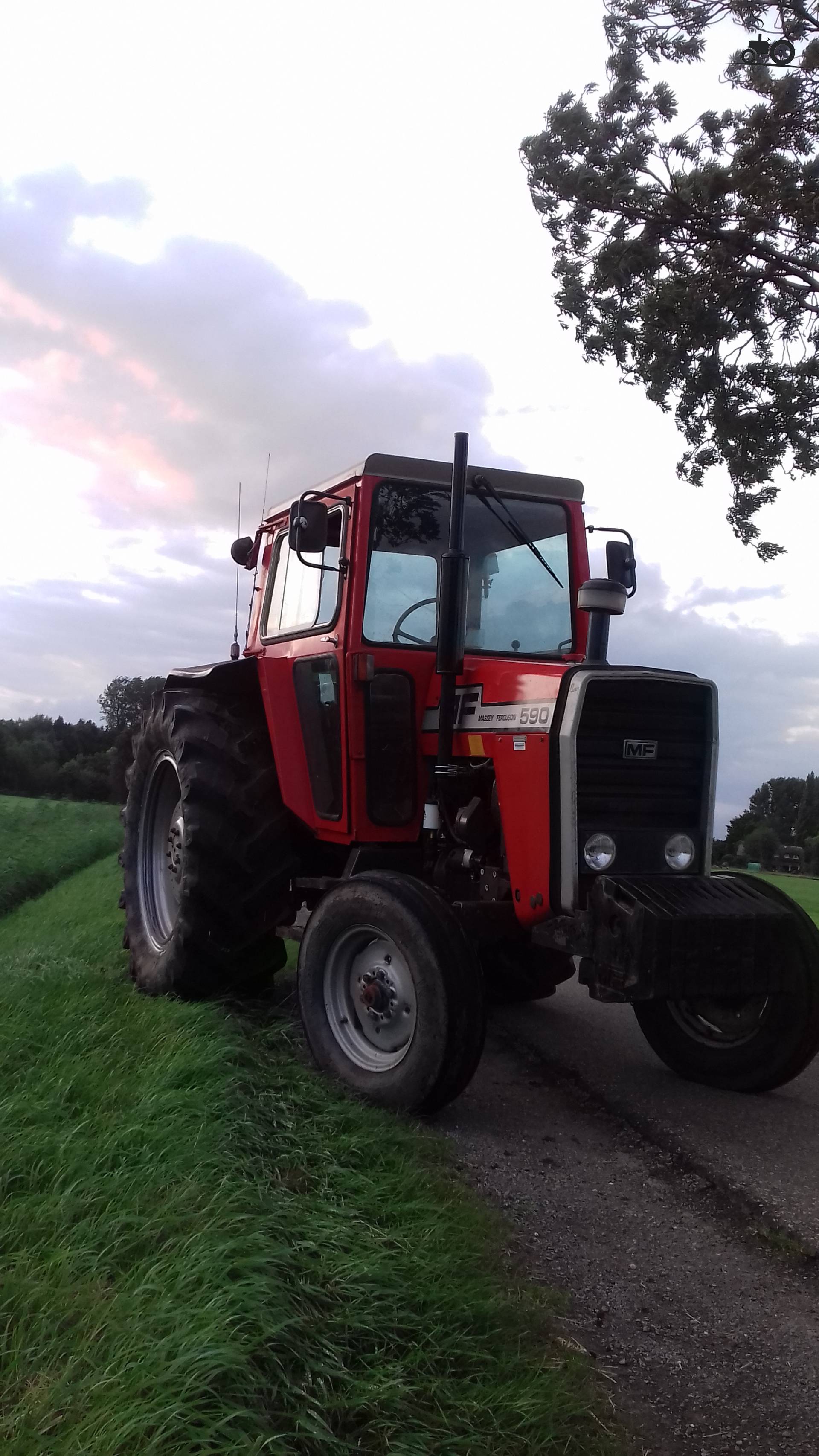 Foto Massey Ferguson 590 #1176265
