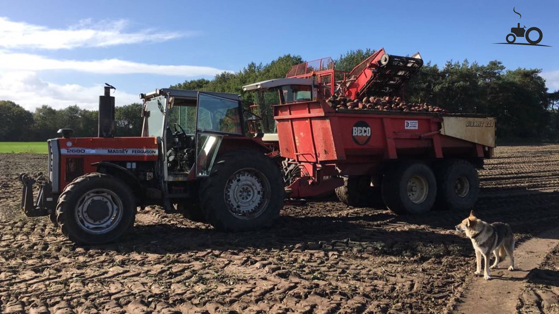 Foto Massey Ferguson 2680 #1193554