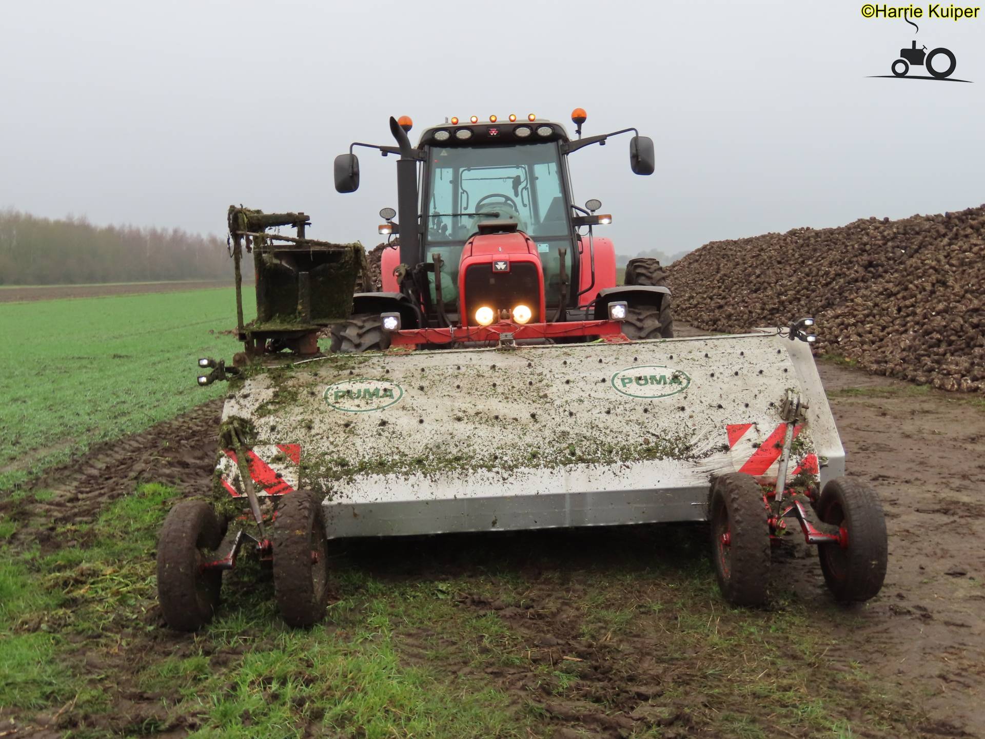 Foto Massey Ferguson 6480 Dynashift #1393448