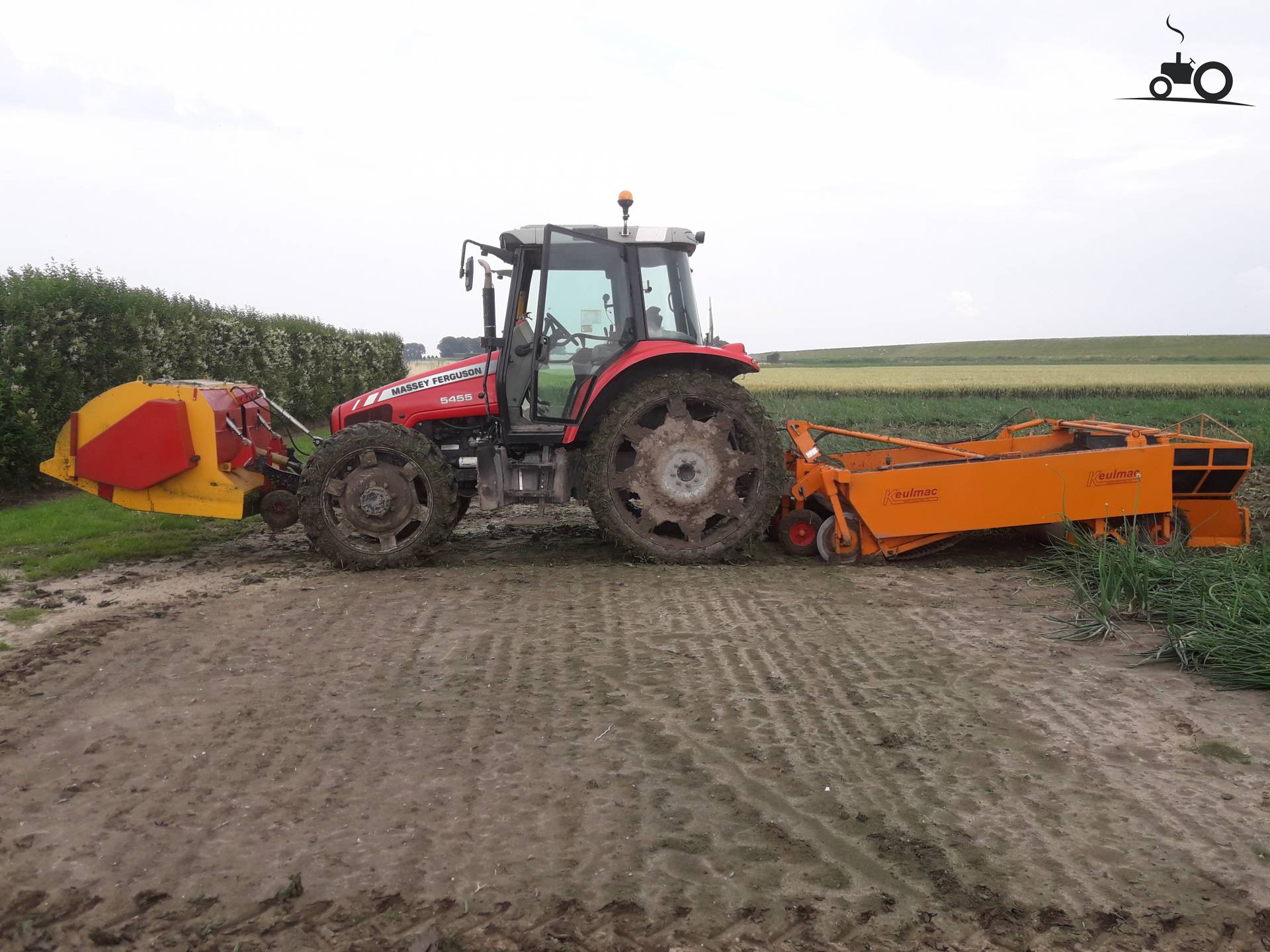 Foto Massey Ferguson 5455 #1456677