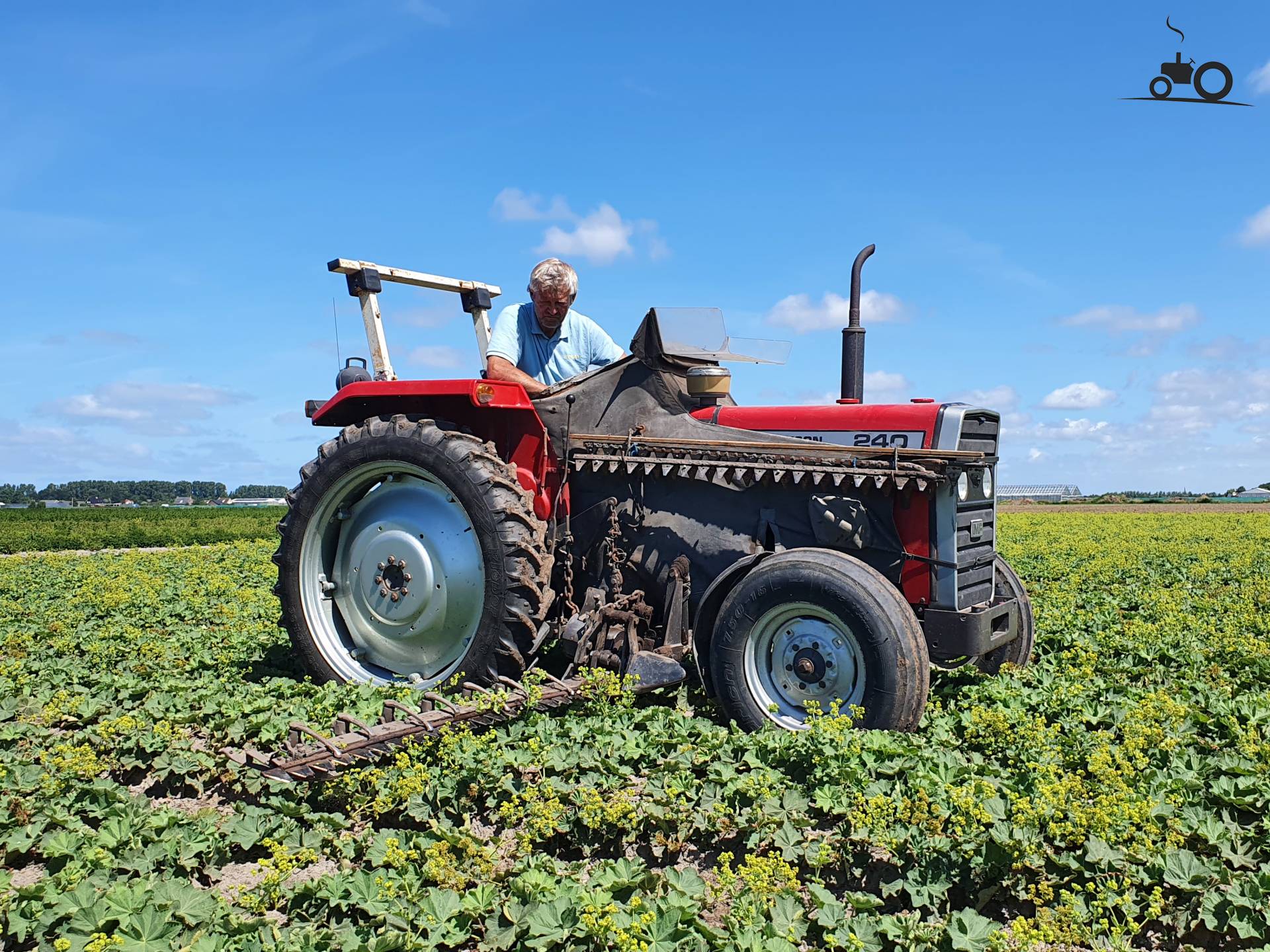 Foto Massey Ferguson 240 #1481466