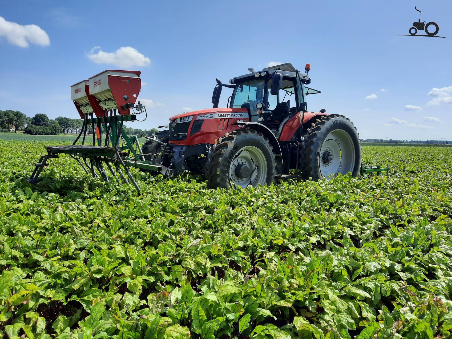 Foto Massey Ferguson 7719 #1483771