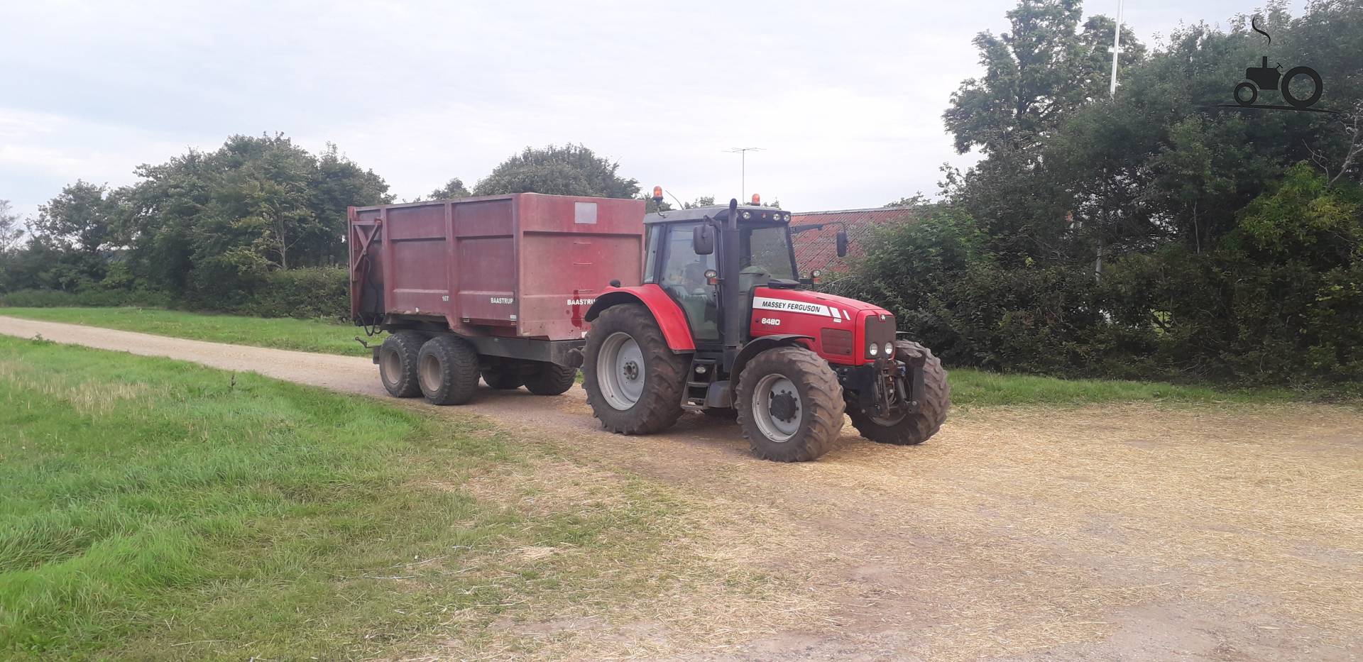 Foto Massey Ferguson 6480 #1487512