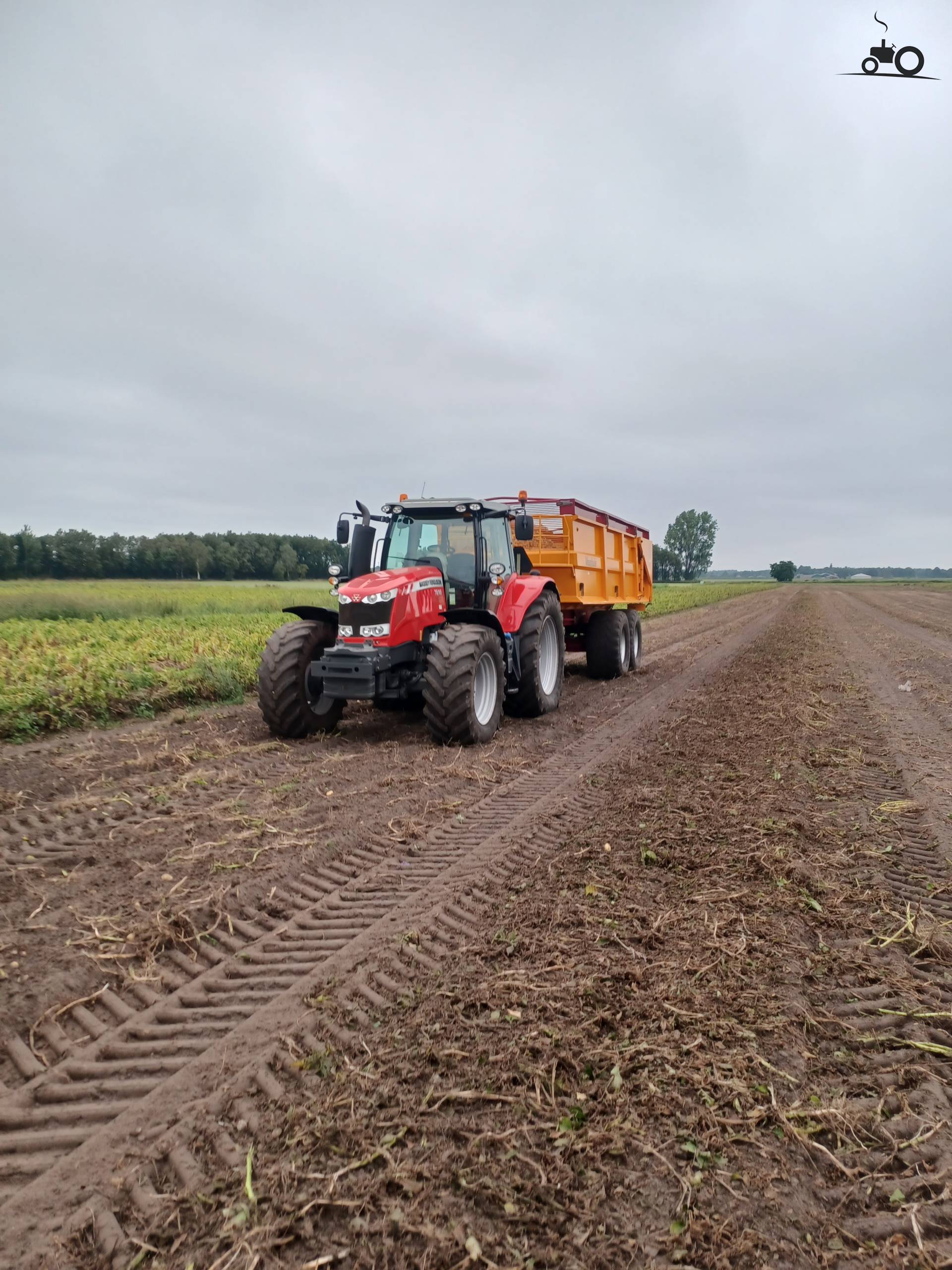 Foto Massey Ferguson 7616 van Graafstra