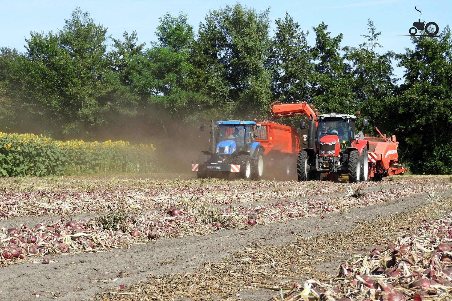 Foto Massey Ferguson 6616 #1494479
