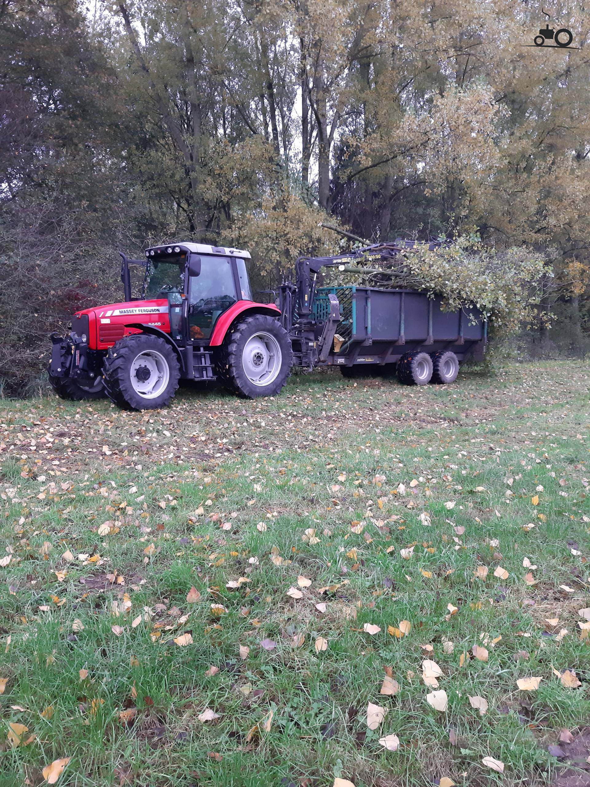 Foto Massey Ferguson 5445 #1498947