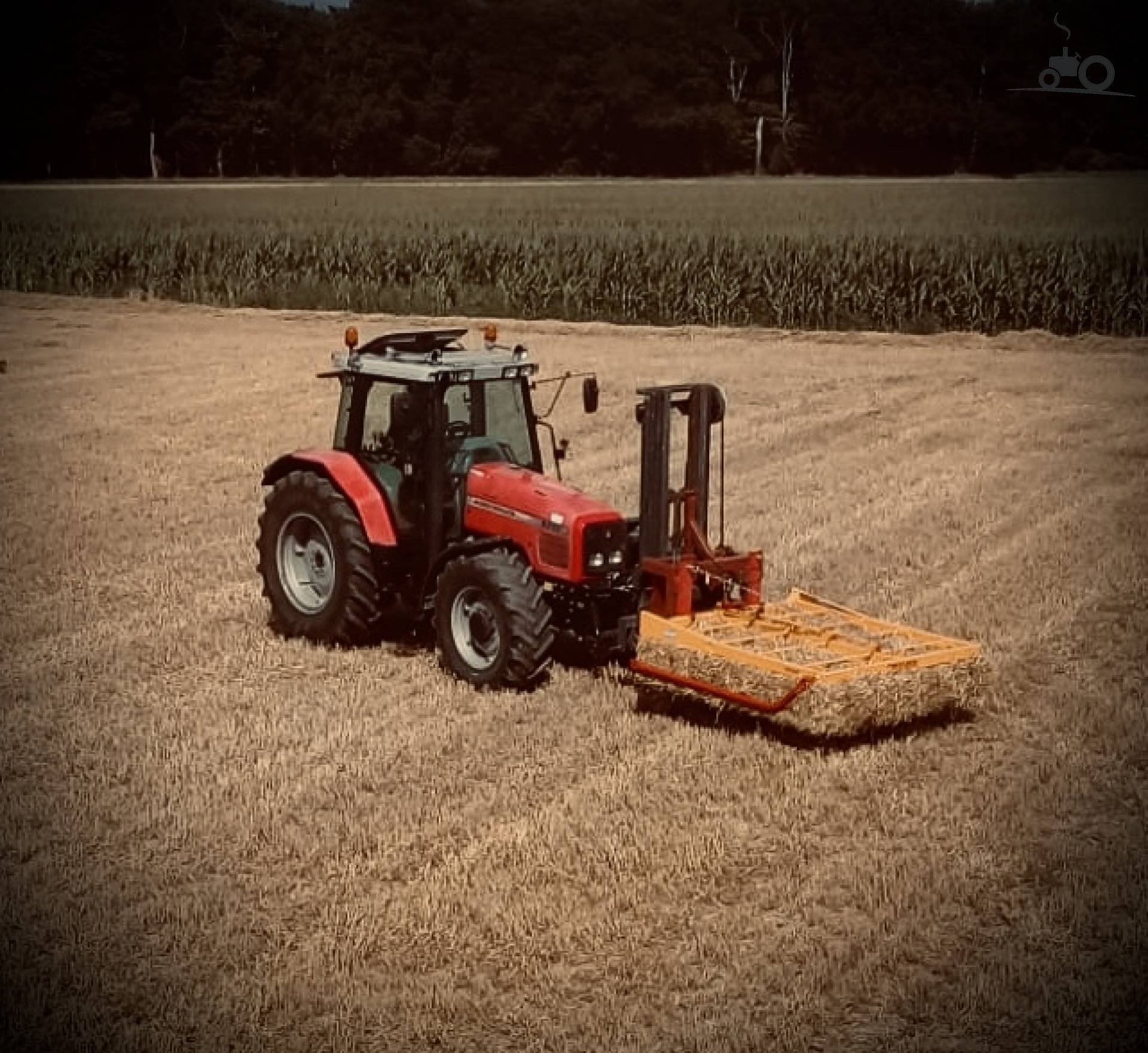 Foto Massey Ferguson 6290 #1501890