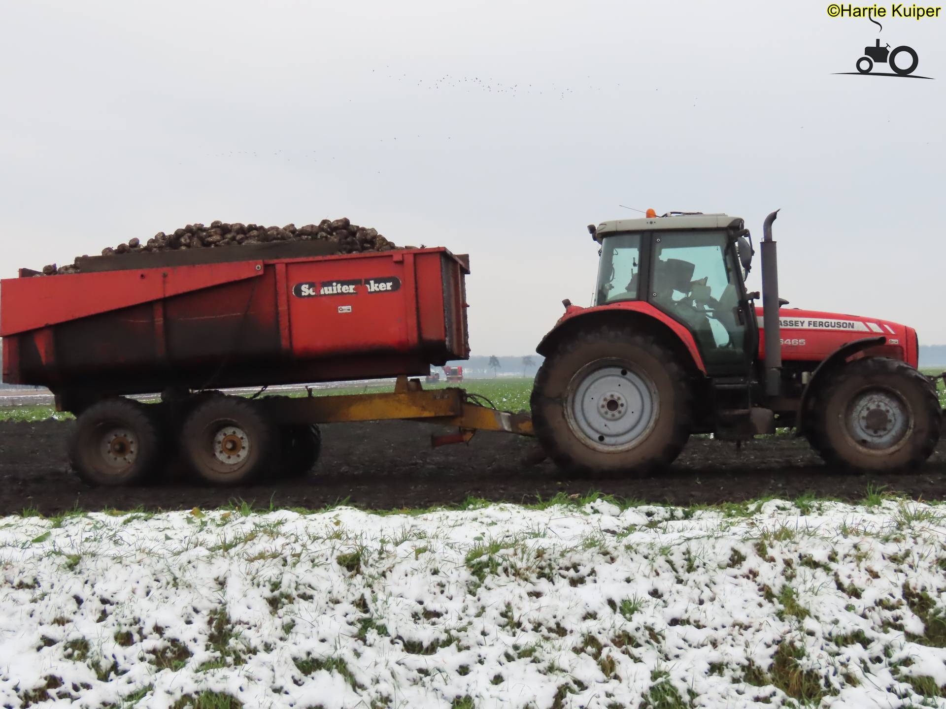 Massey Ferguson 6465 Dynashift - Laatste Updates, Foto's & Video's ...
