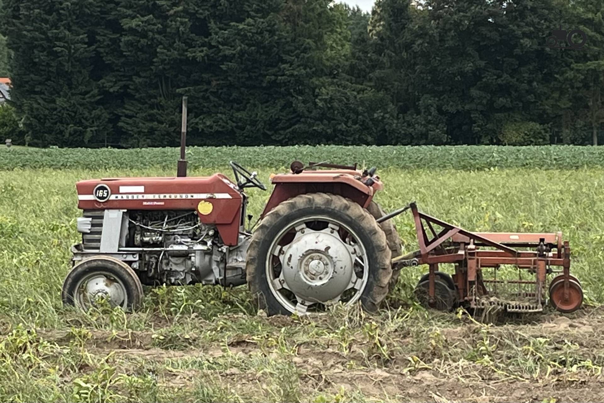 Foto Massey Ferguson 165 #1625991