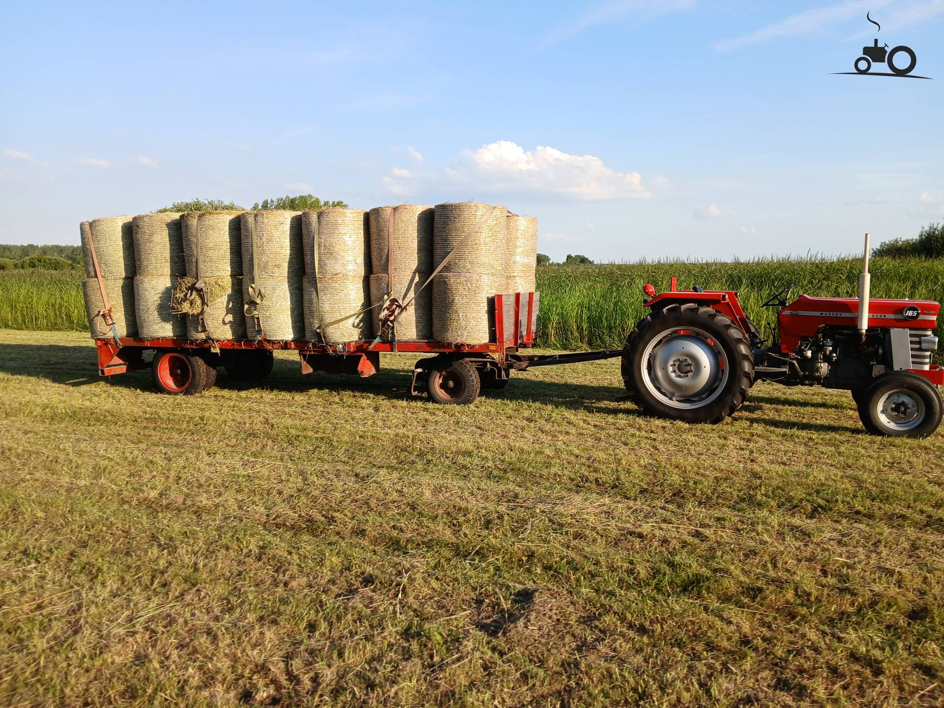 Massey Ferguson 165 - Laatste Updates, Foto's & Video's - Pagina 1