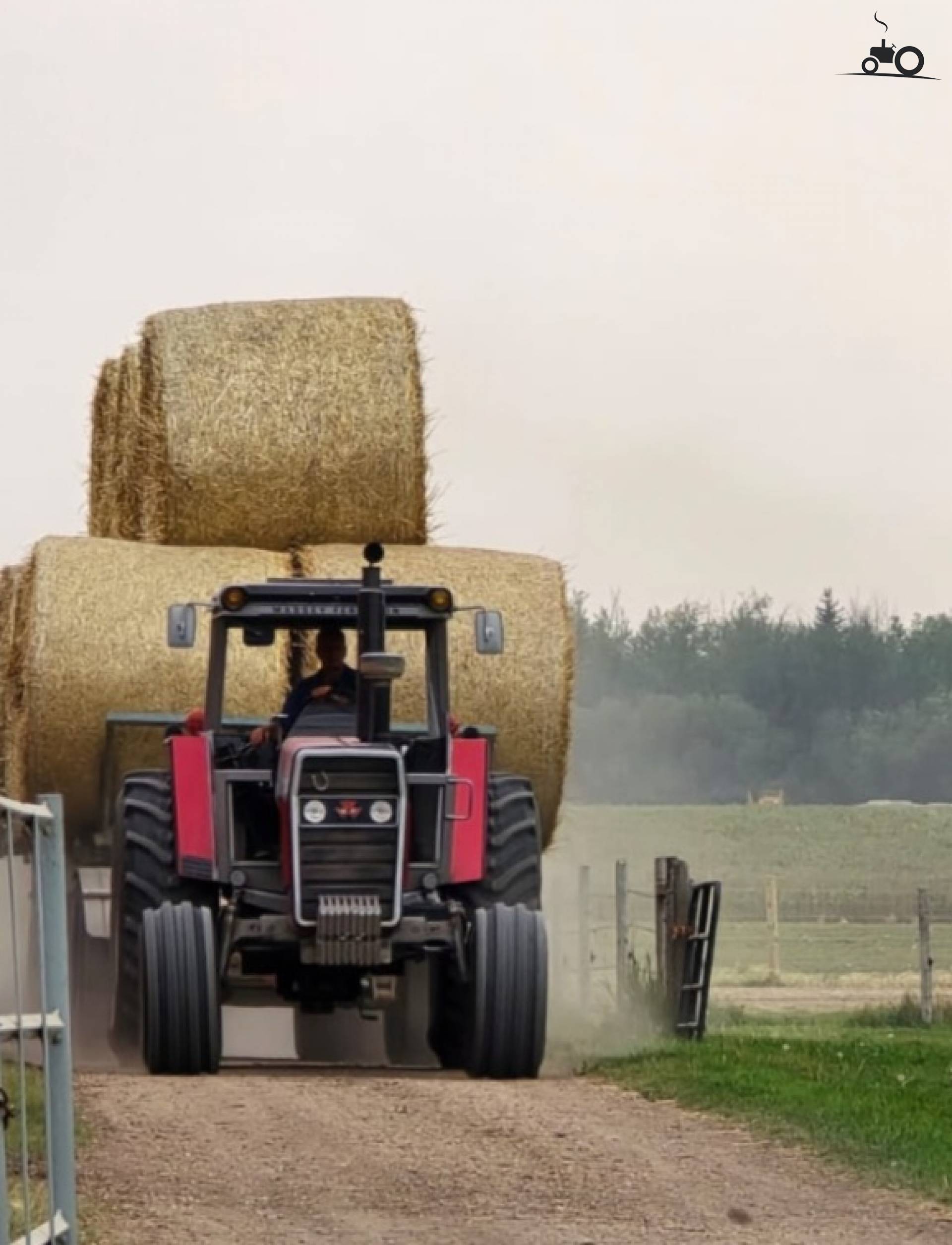 Foto Massey Ferguson 2705 #1638453