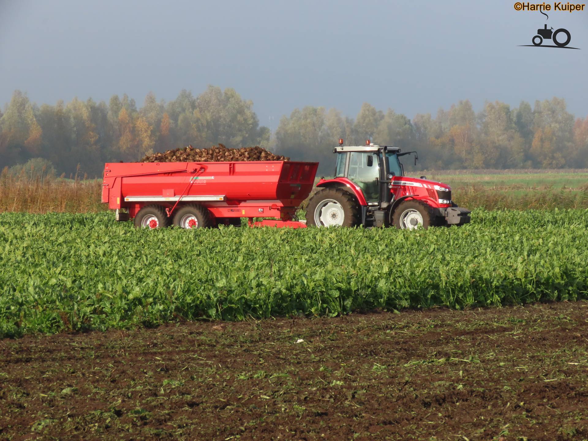 Massey Ferguson 6612