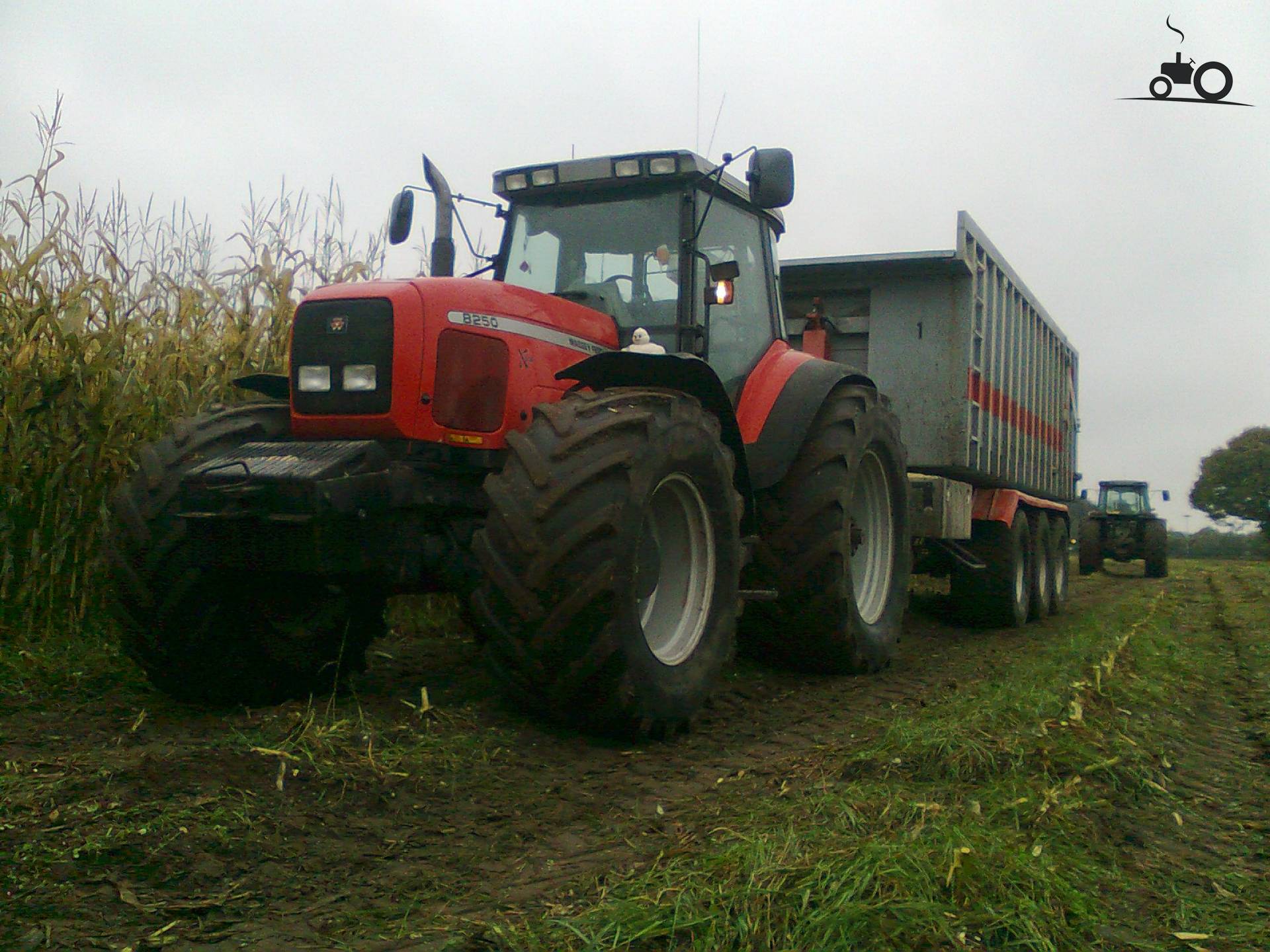 Foto Massey Ferguson 8250 #419940