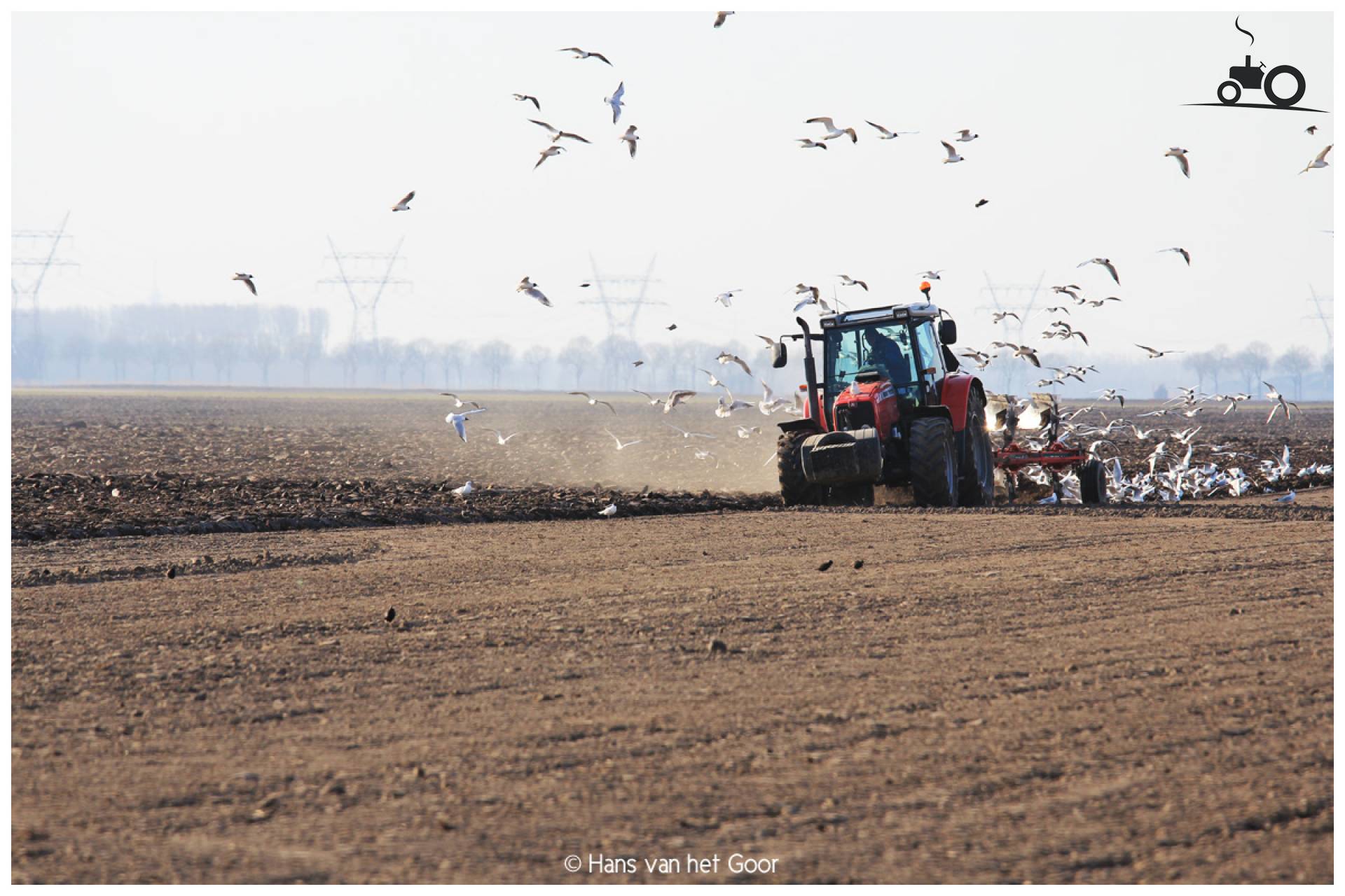 Foto Massey Ferguson 5470 #753384