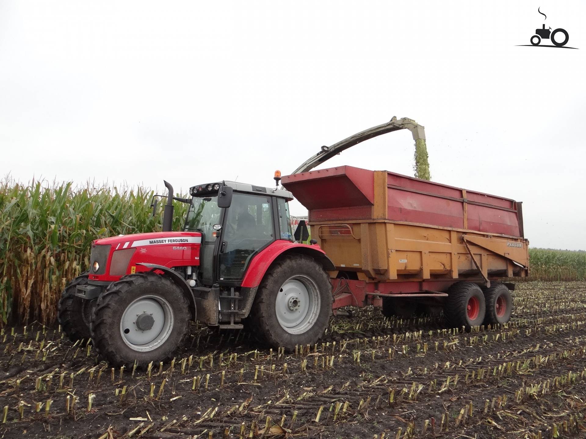 Foto Massey Ferguson 6460 #803190