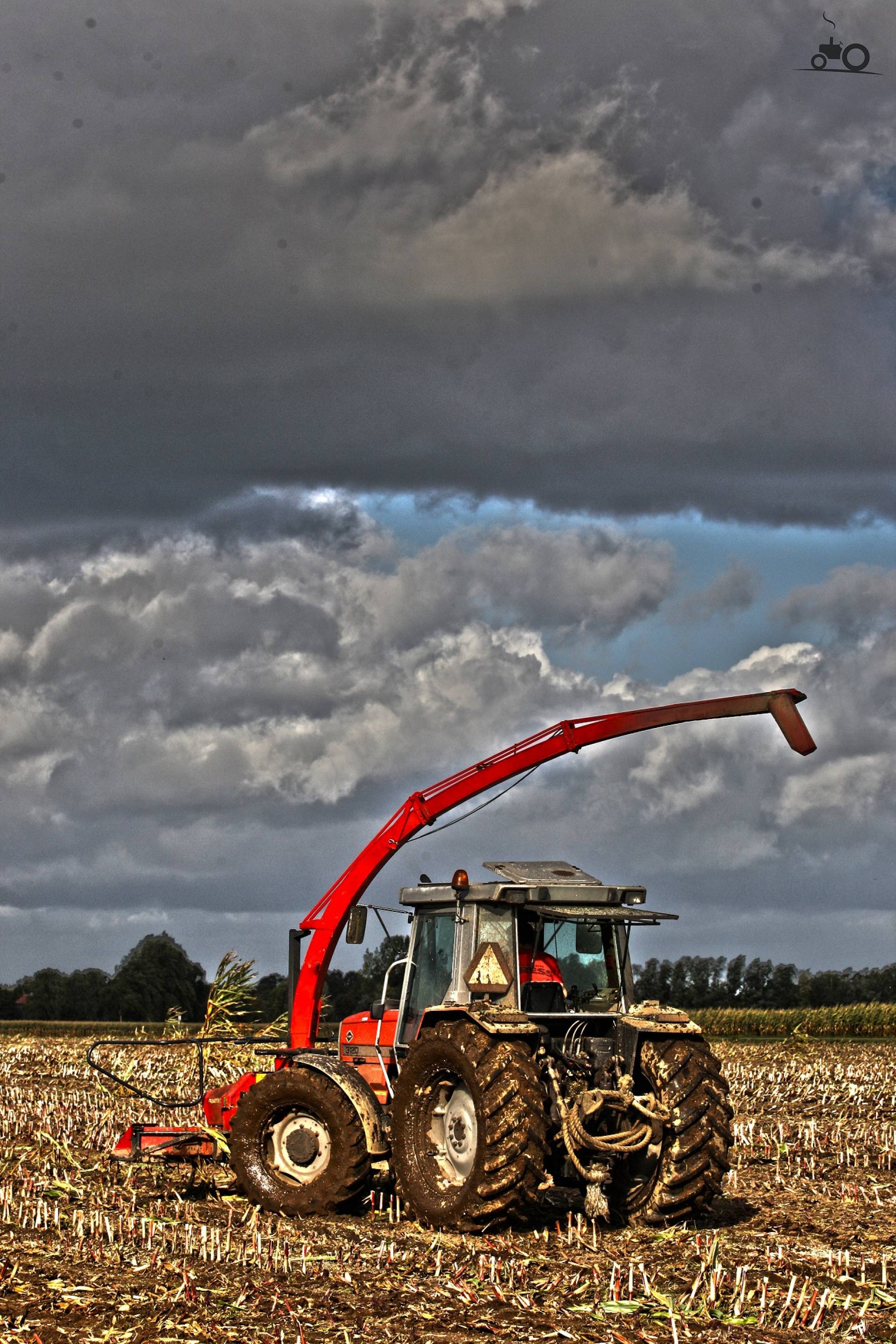 Foto Massey Ferguson 3120 #848196