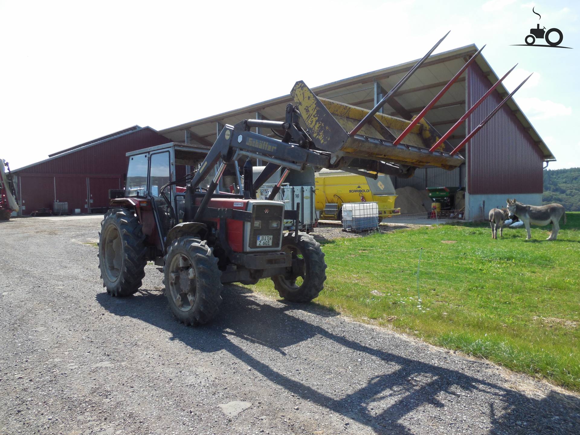Massey Ferguson 353 - France - Tracteur image #861457