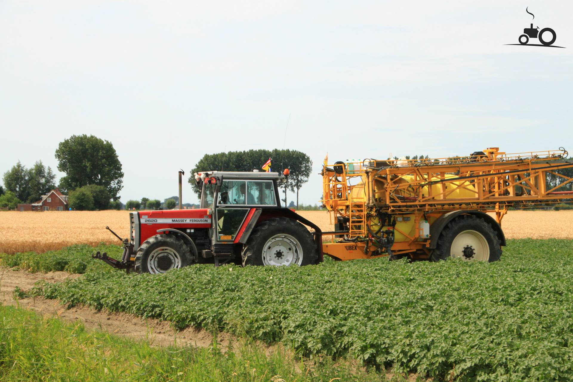 Foto Massey Ferguson 2620 #975956