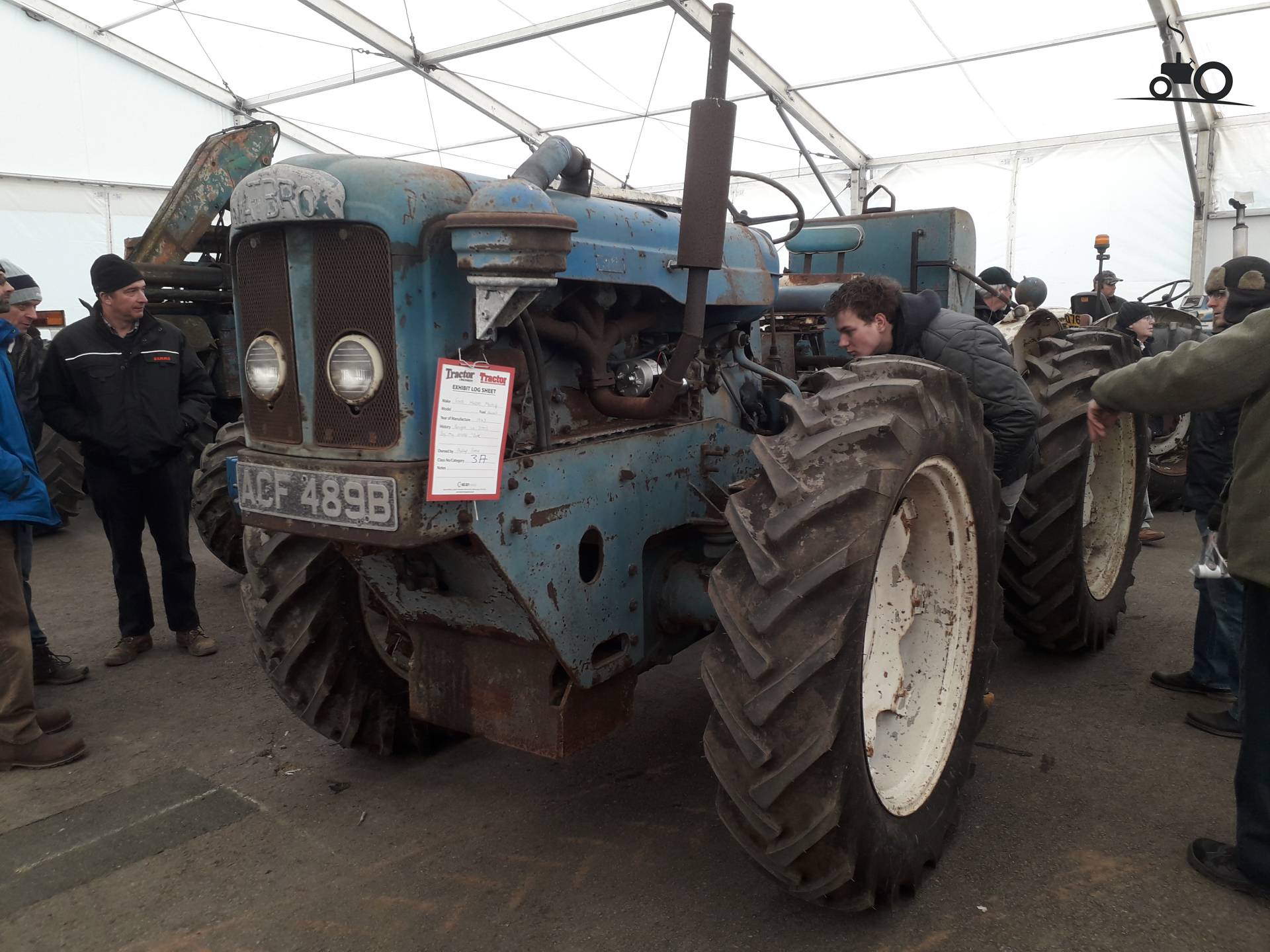 Foto Matbro Mastiff #1217106