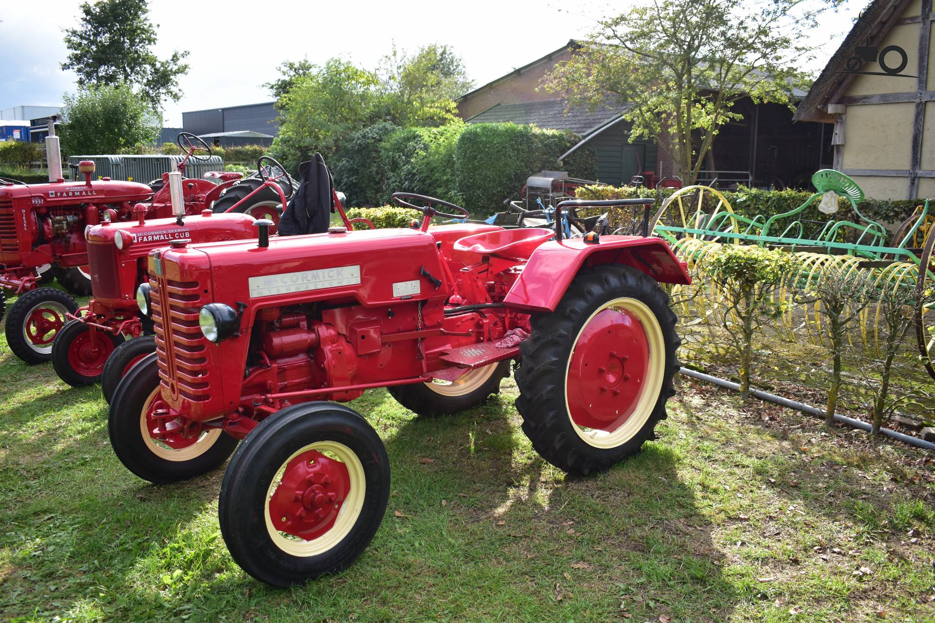 Mc-Cormick D 217 - Österreich - Traktor foto #1497958