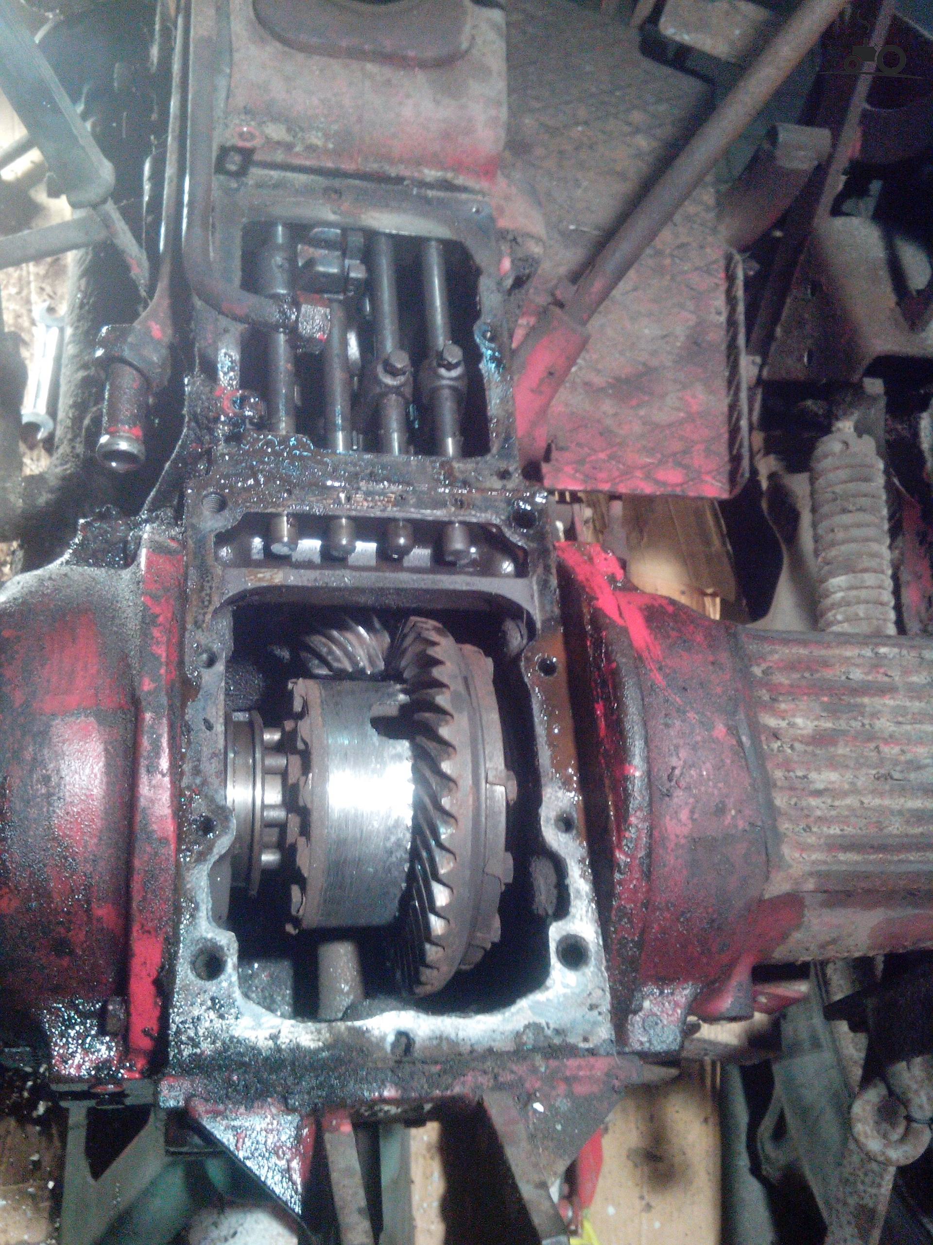 Foto Mc-Cormick D 219 #965362