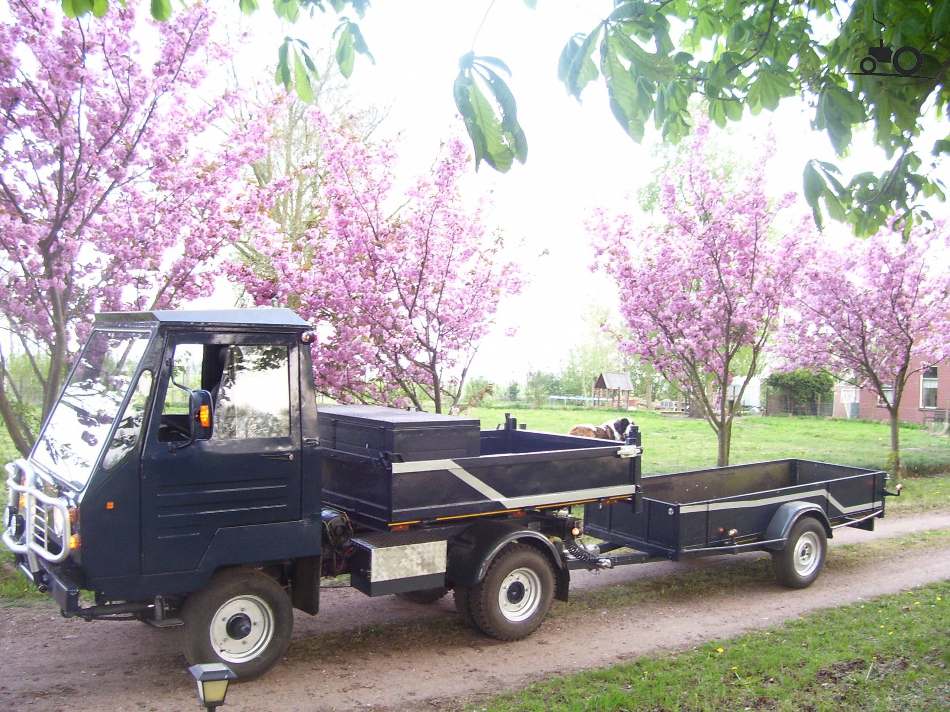 Foto Multicar M25 #532876