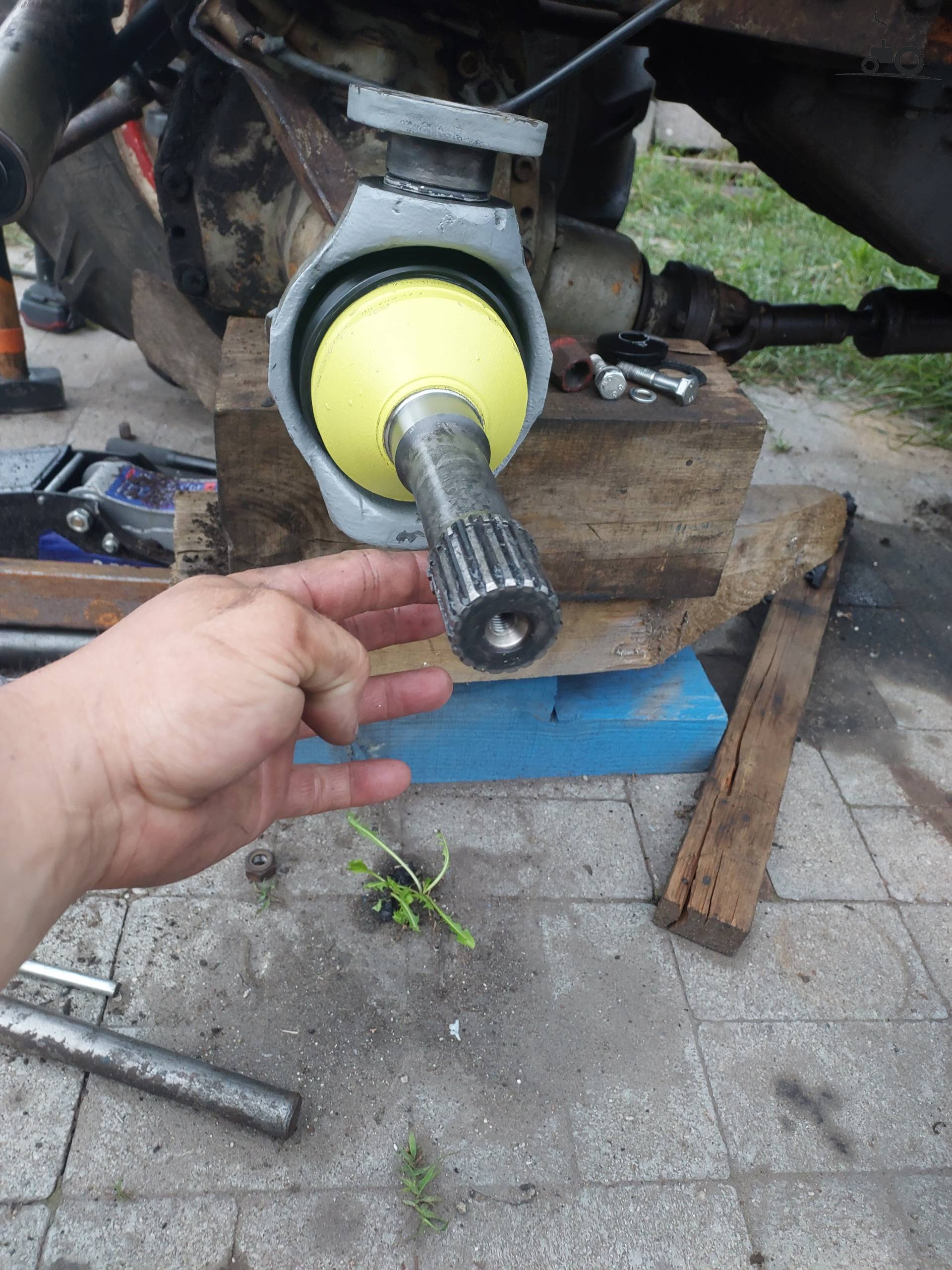 Napolione - TractorFan NL