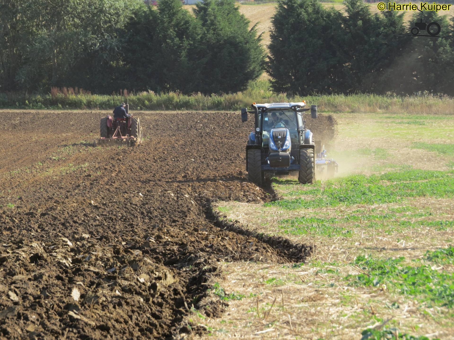 "Nog niet gegeten? Nee gekkigheid, wat je zegt klop..." — Patrick