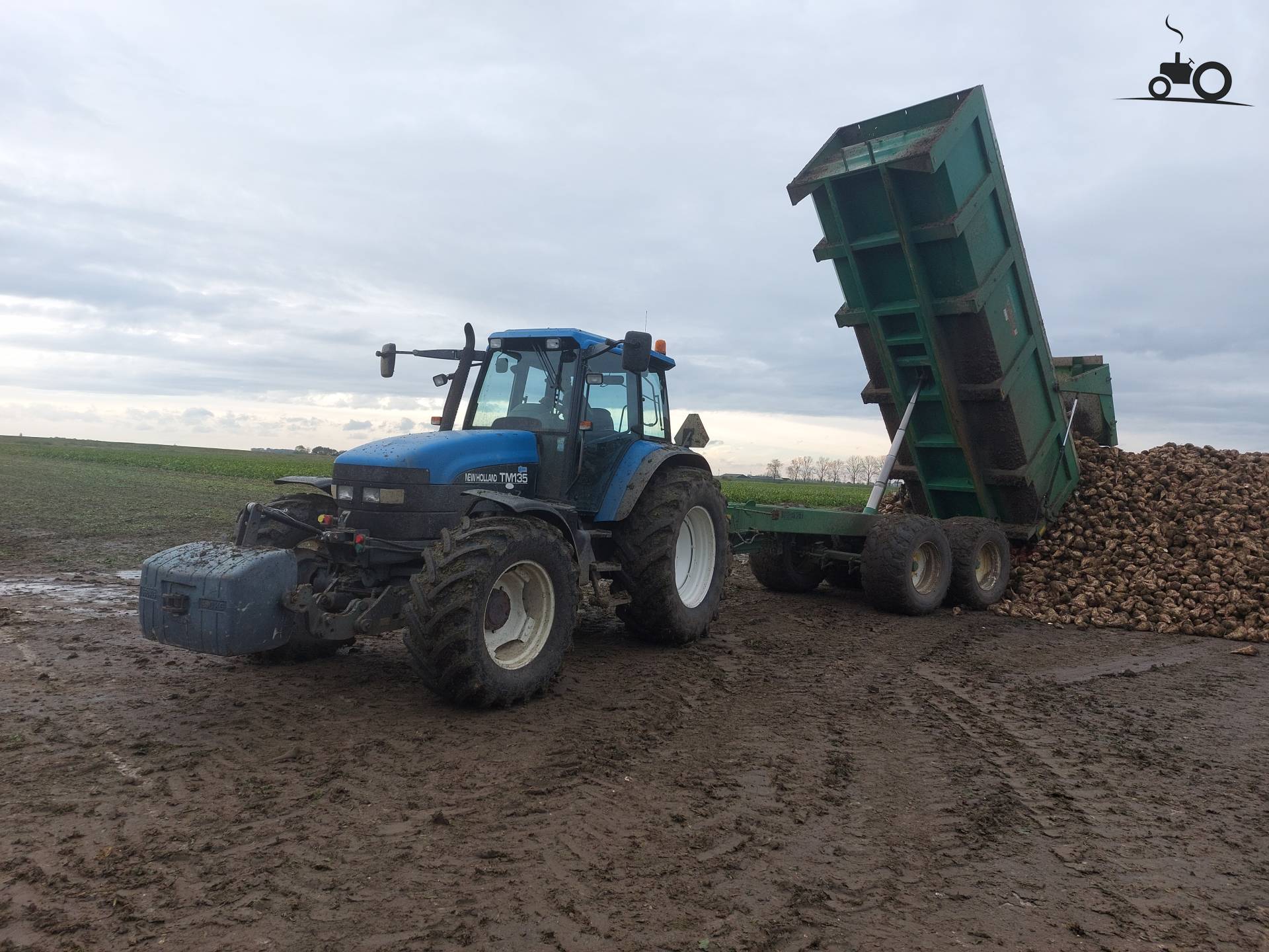 Foto New Holland TM 135 #1443757