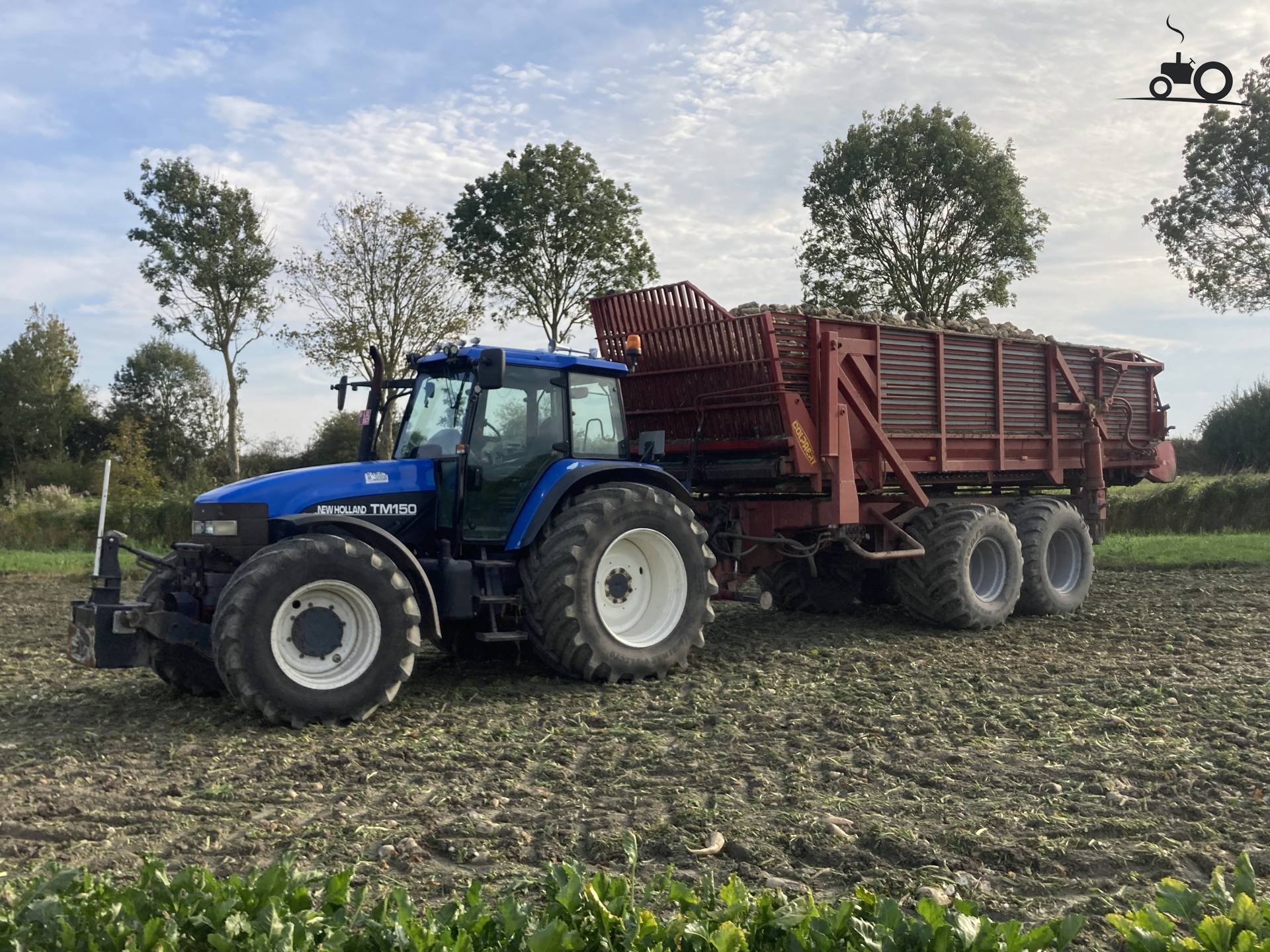 Foto New Holland TM 150 #1638333