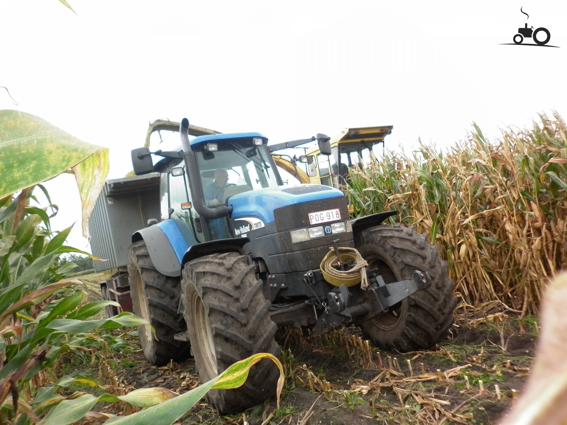 Foto New Holland TM 175 #550600