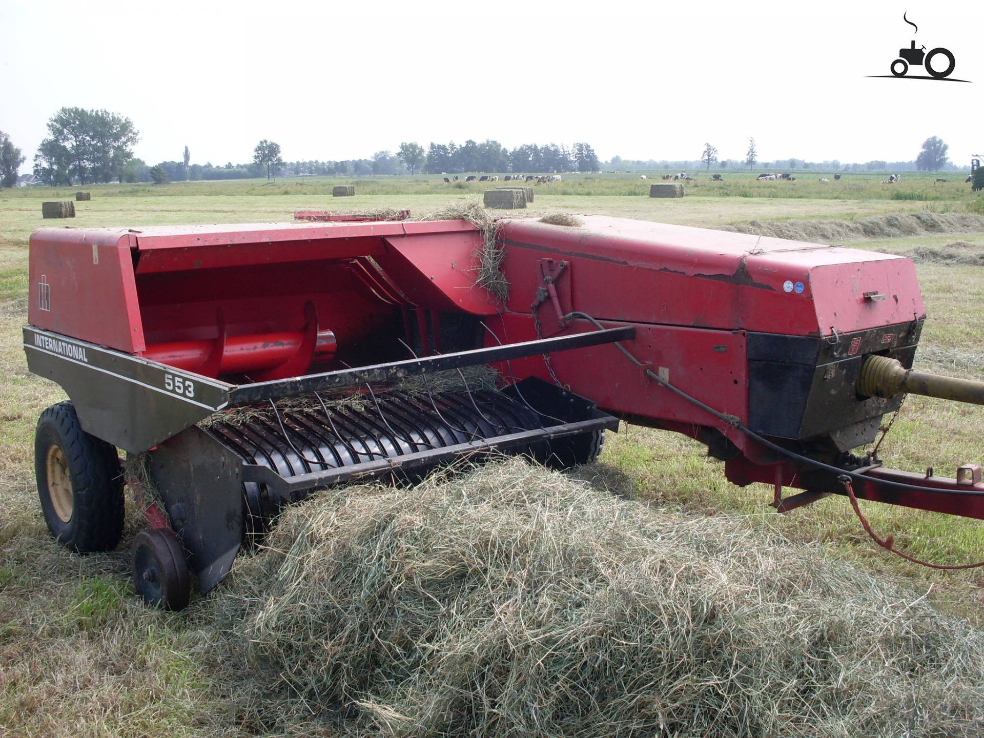 Foto International 553 #553510