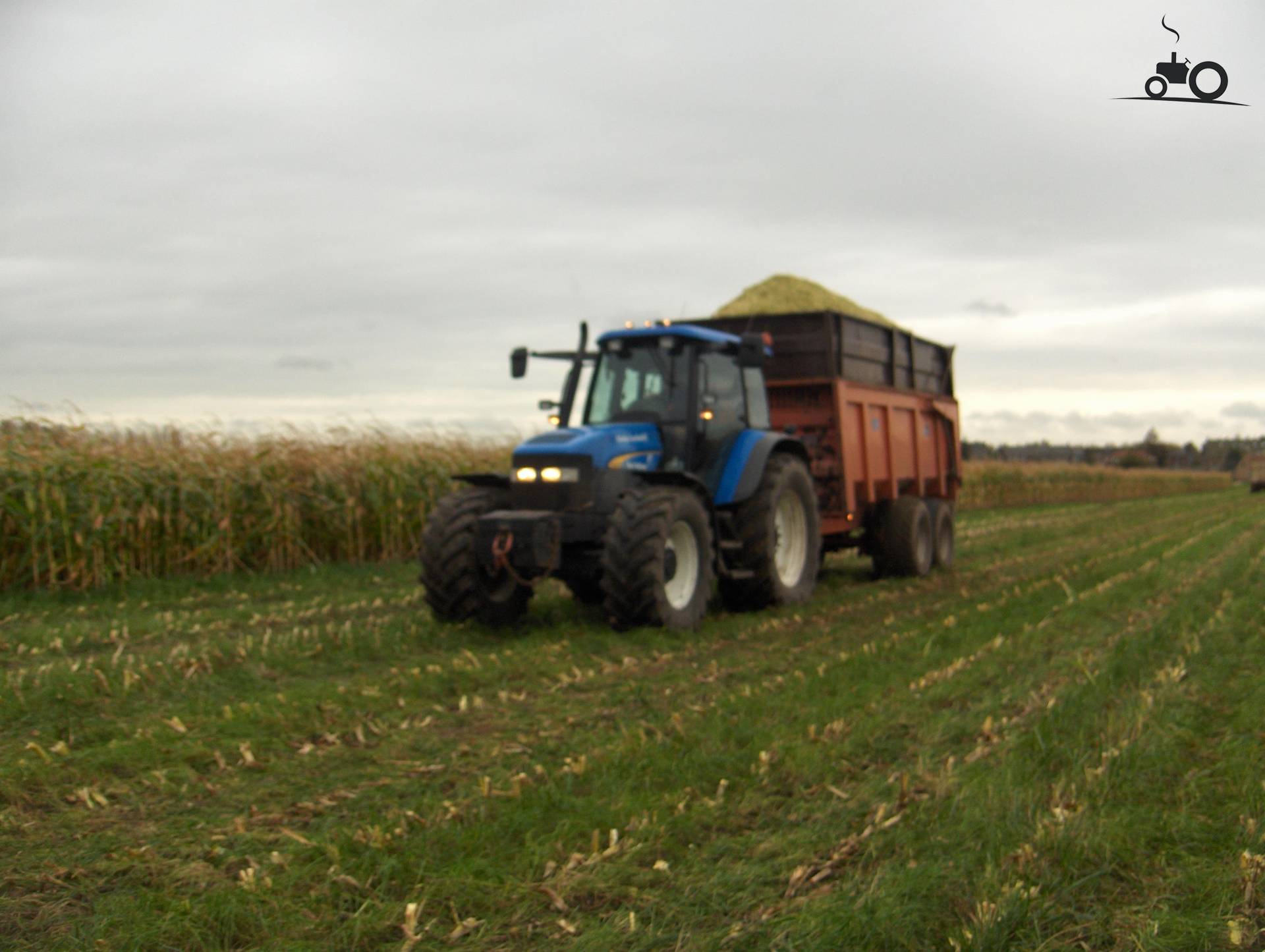 Foto New Holland TM 140 #554025