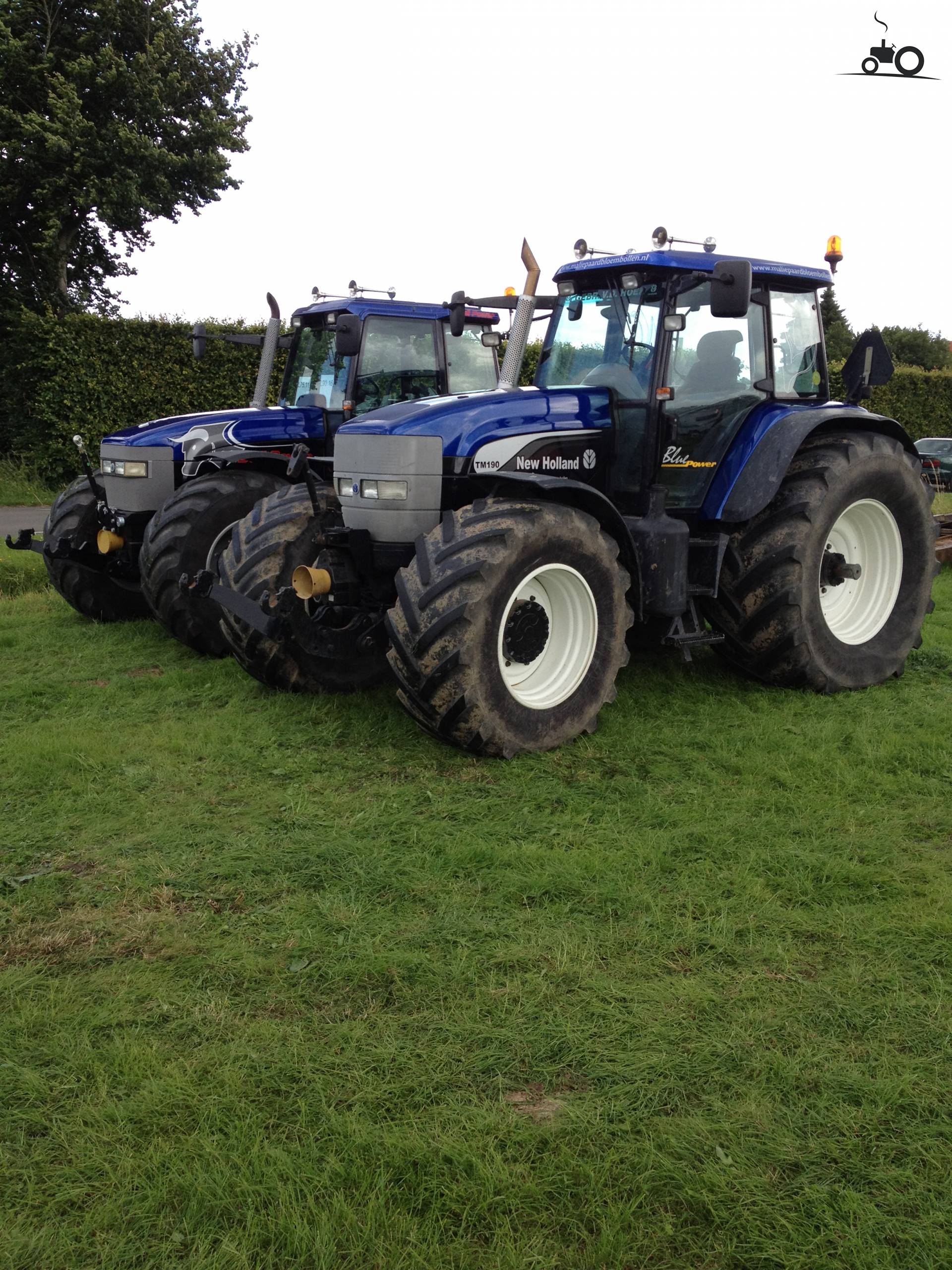 Foto New Holland TM 190 #663617