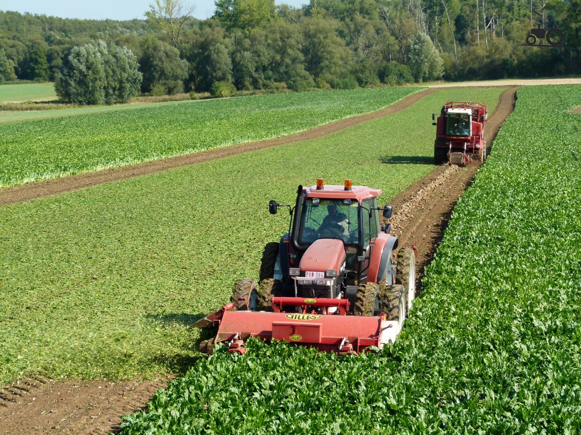 Foto New Holland M 160 #686200