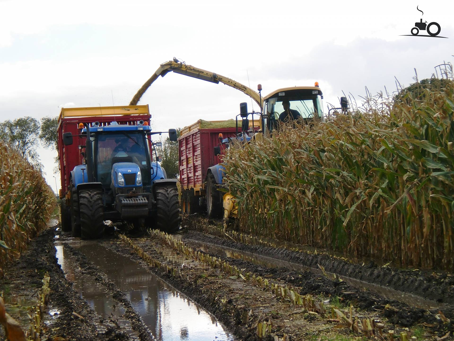 New Holland Meerdere