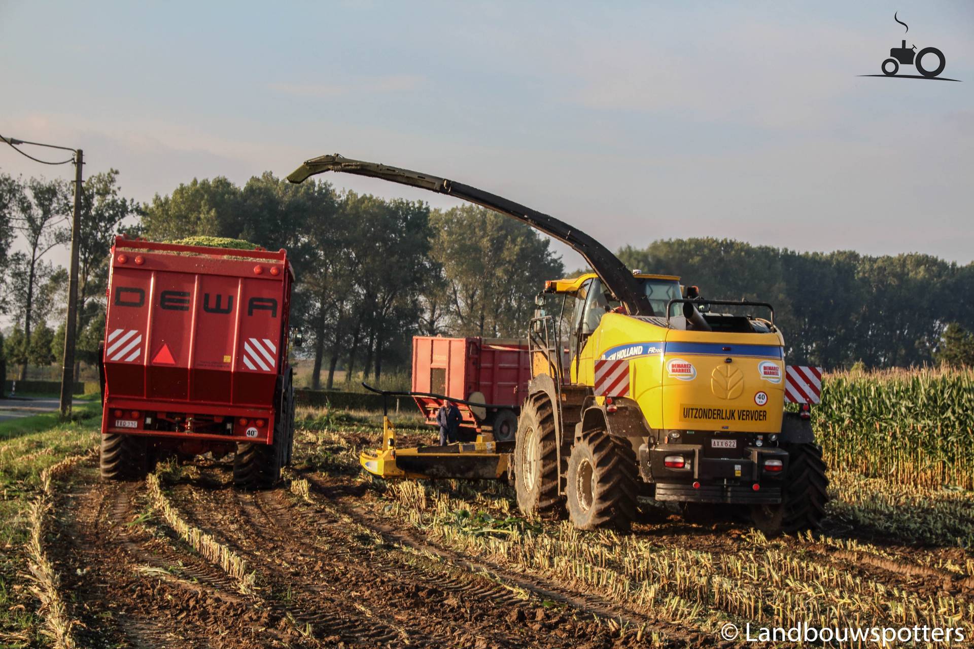 Foto New Holland FR 700 #813365