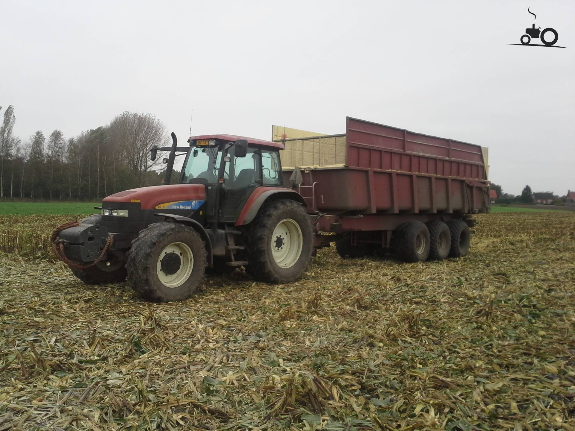 Foto New Holland TM 155 #880965
