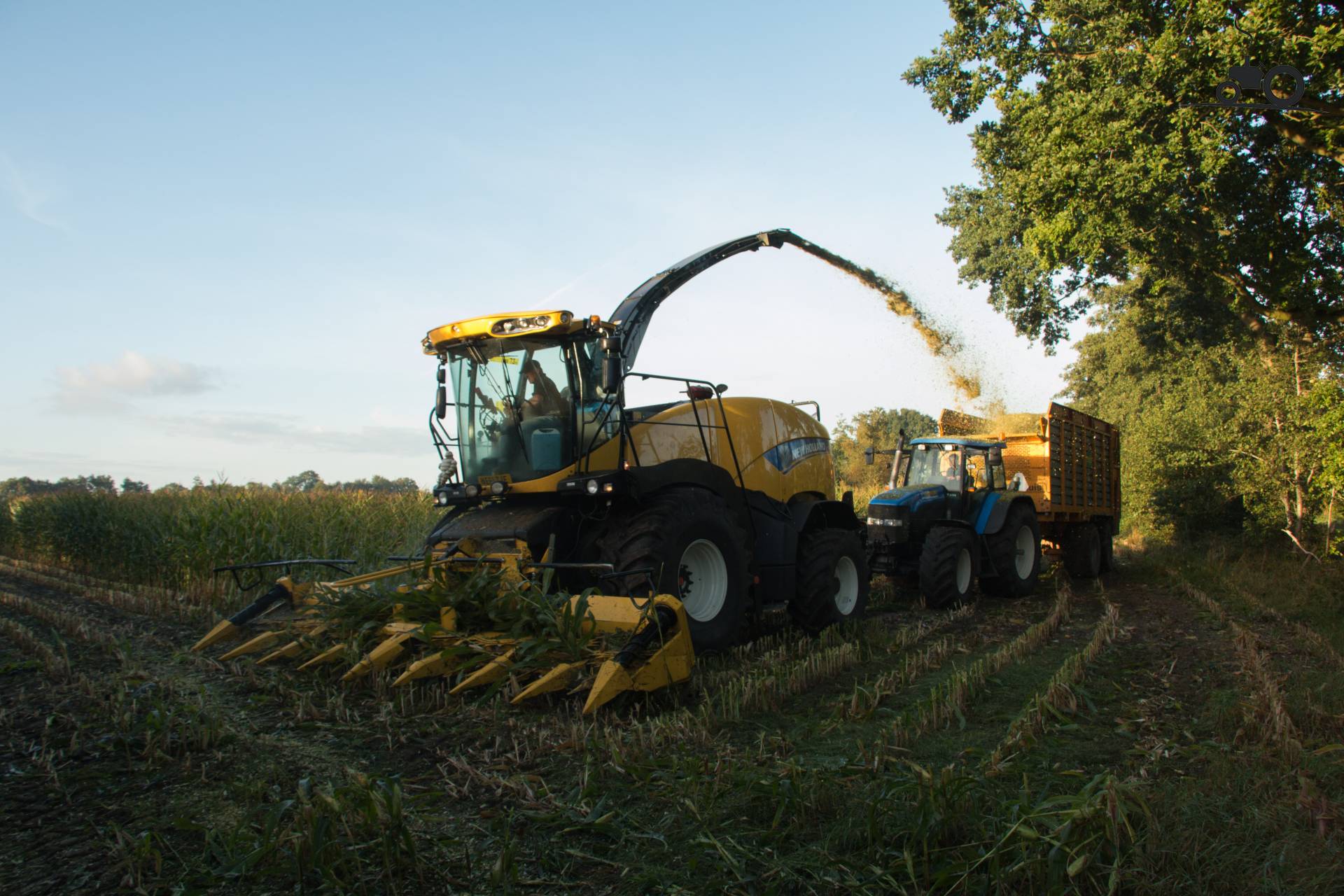 Foto New Holland FR 500 #983810