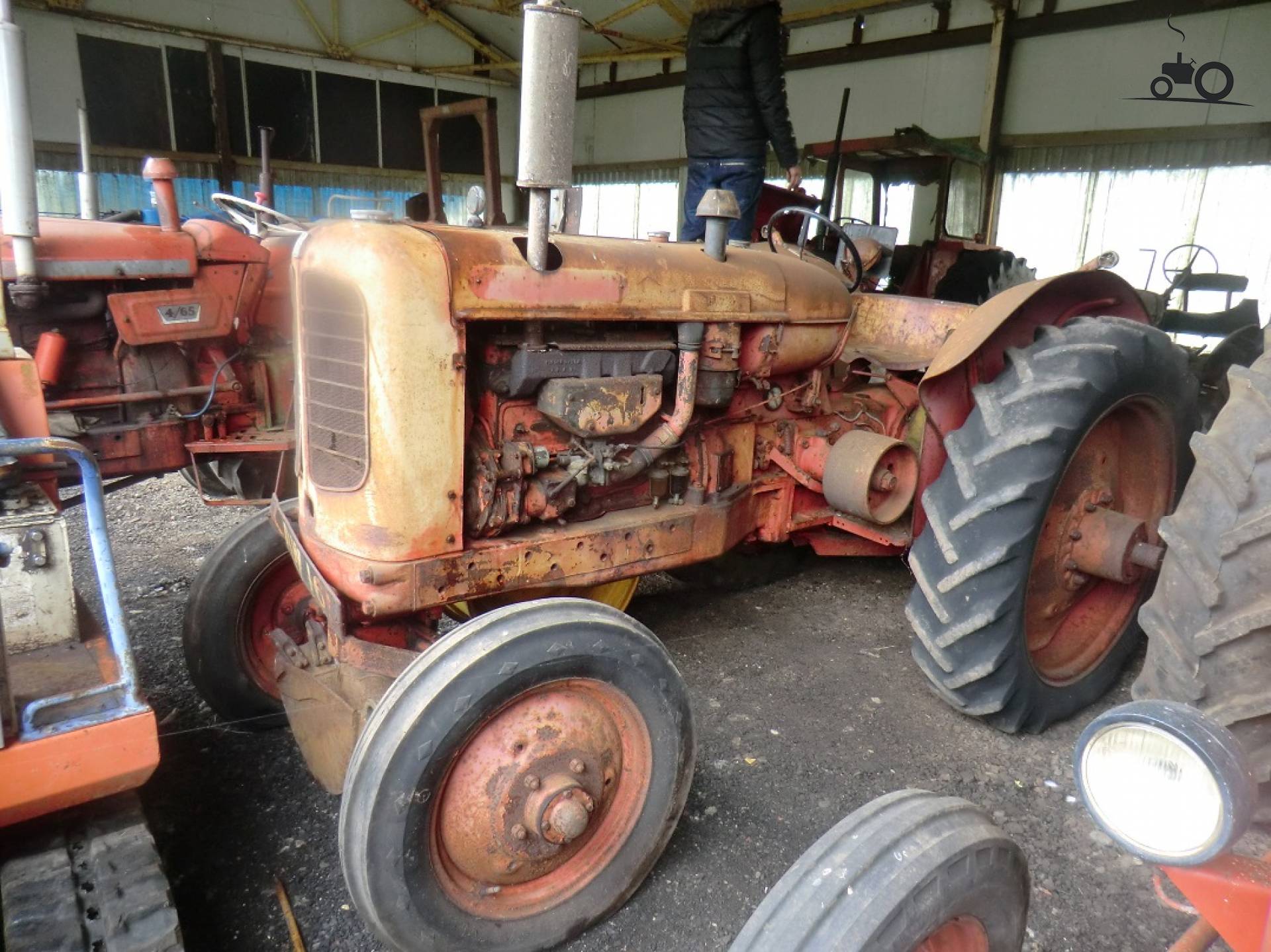 Nuffield M4 - United Kingdom - Tractor picture #803824