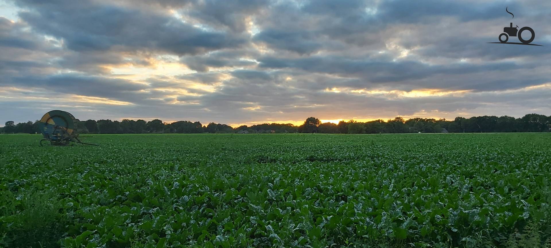 ocmis Haspel - Recente updates