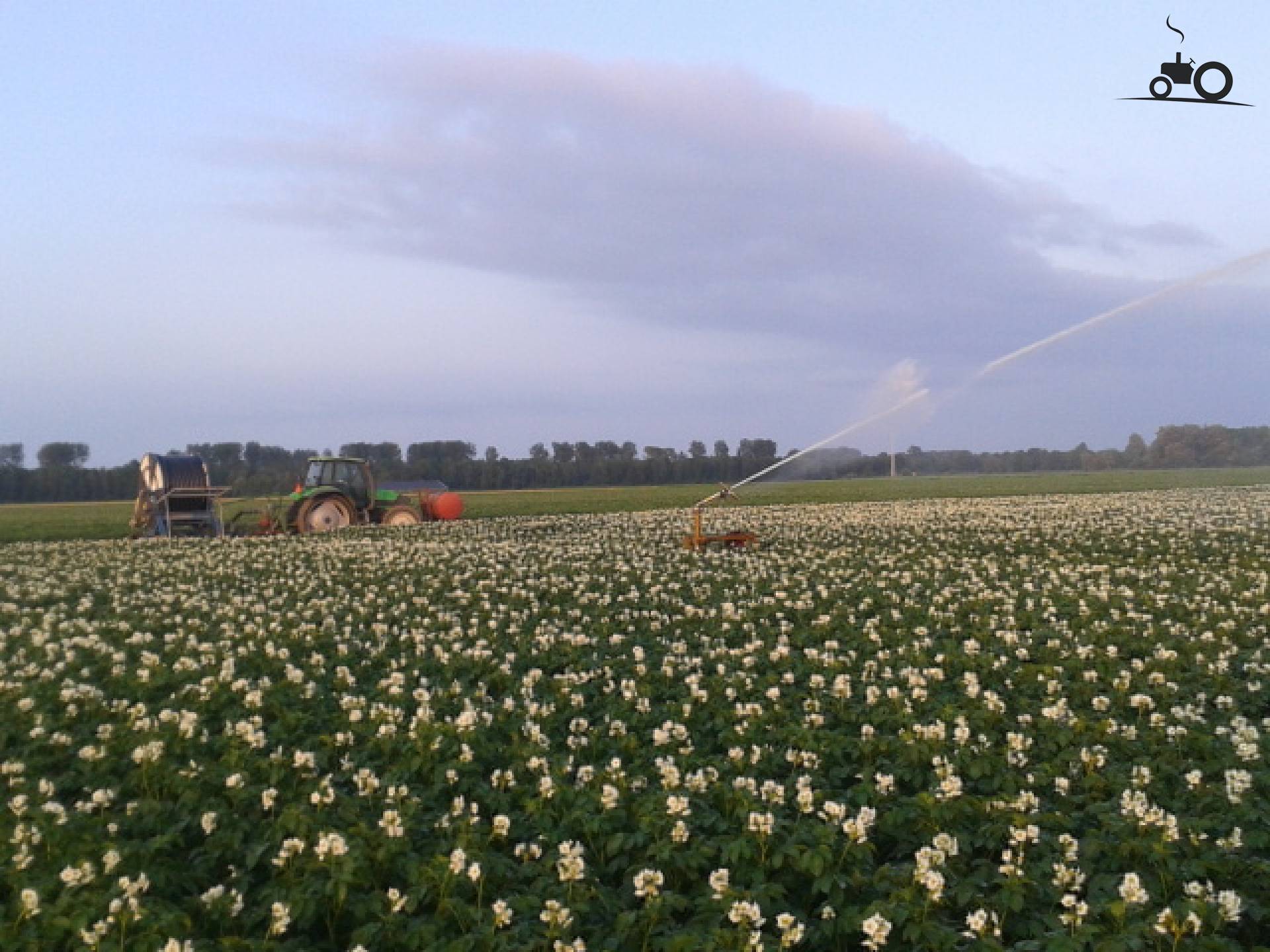 ocmis Haspel fanclub - Specs, Photos, Videos, Reviews & Forum