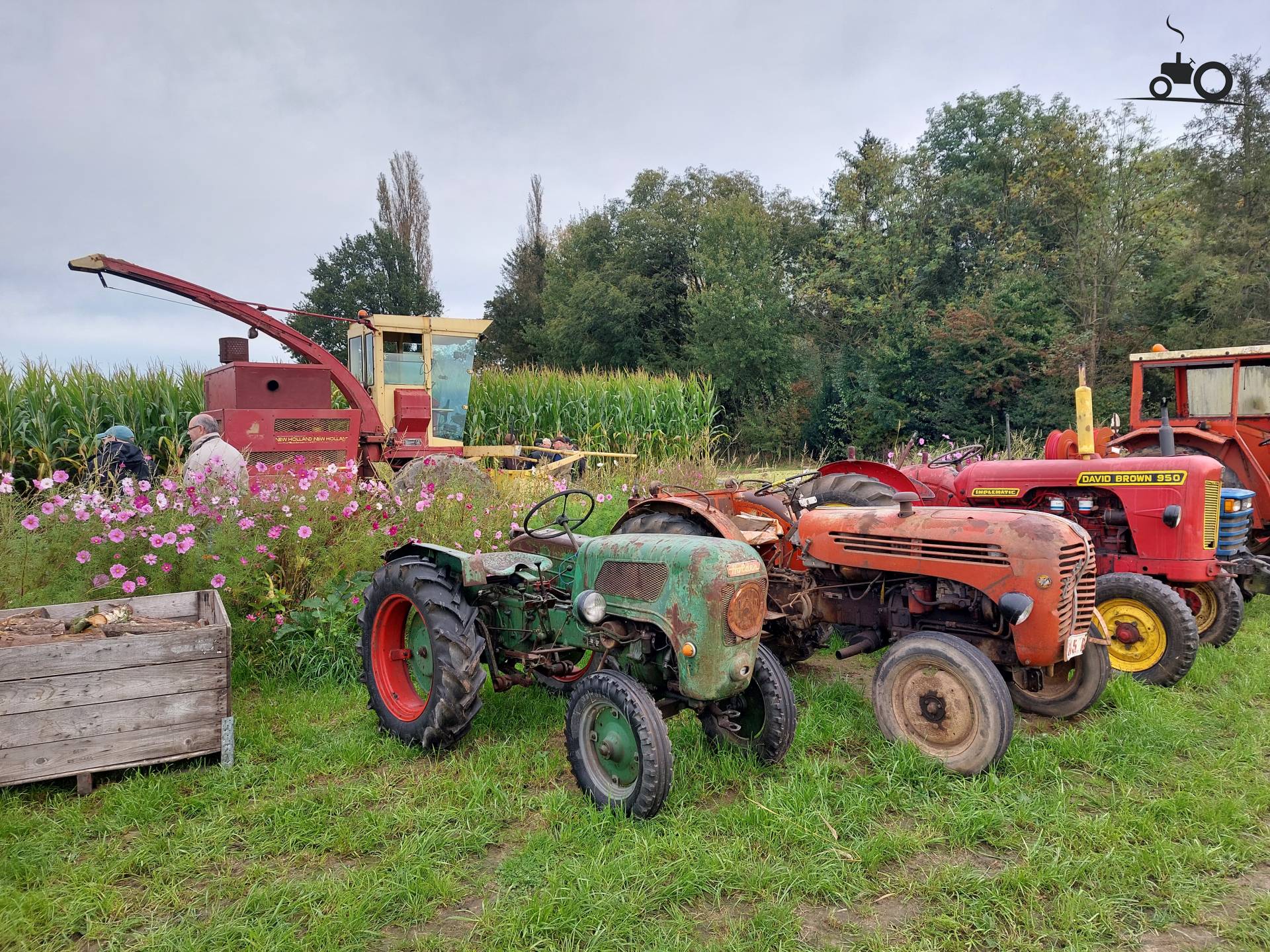 Oldtimers - TractorFan NL